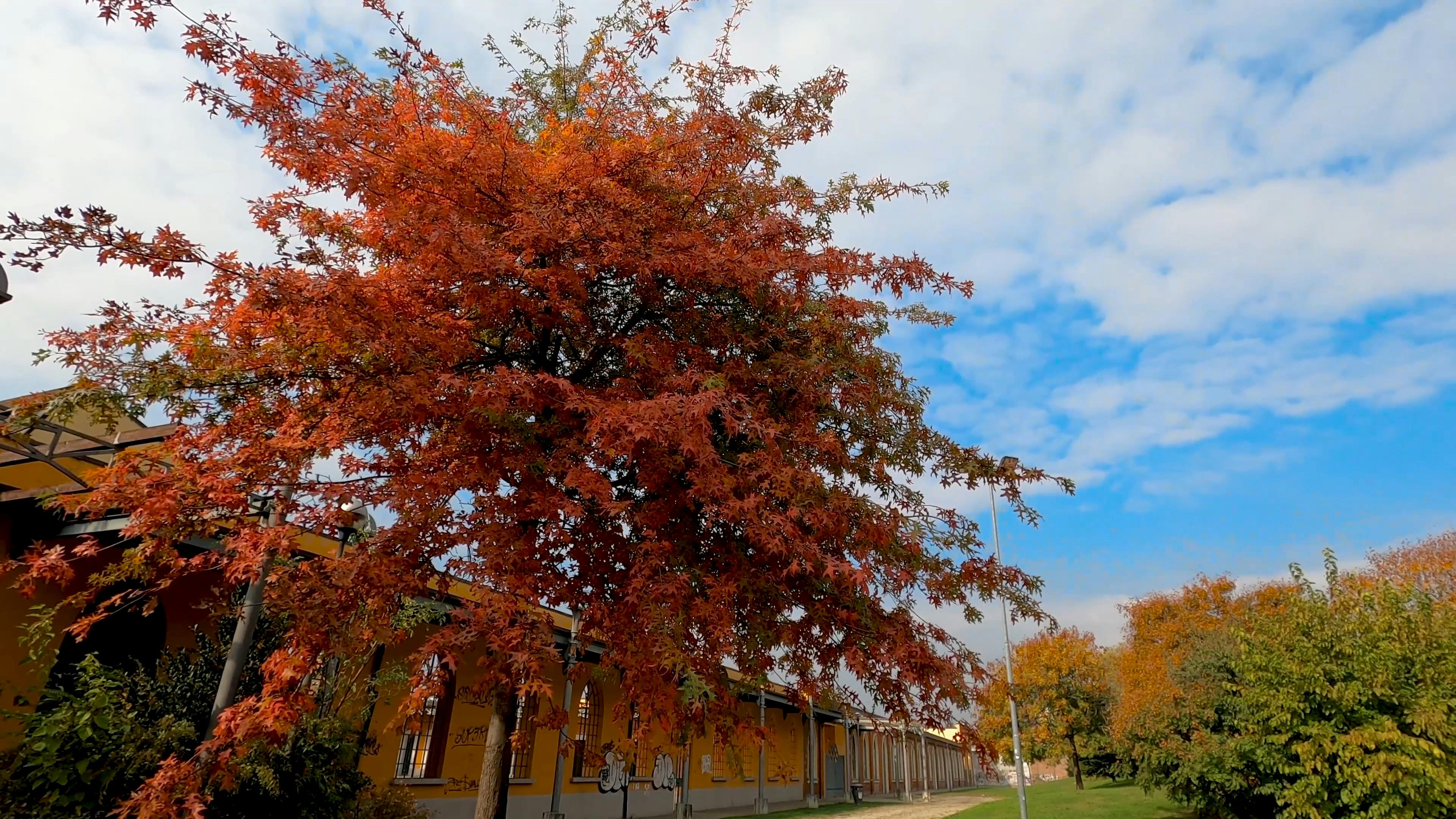 Temperate Colors Videos, Download The BEST Free 4k Stock Video Footage ...