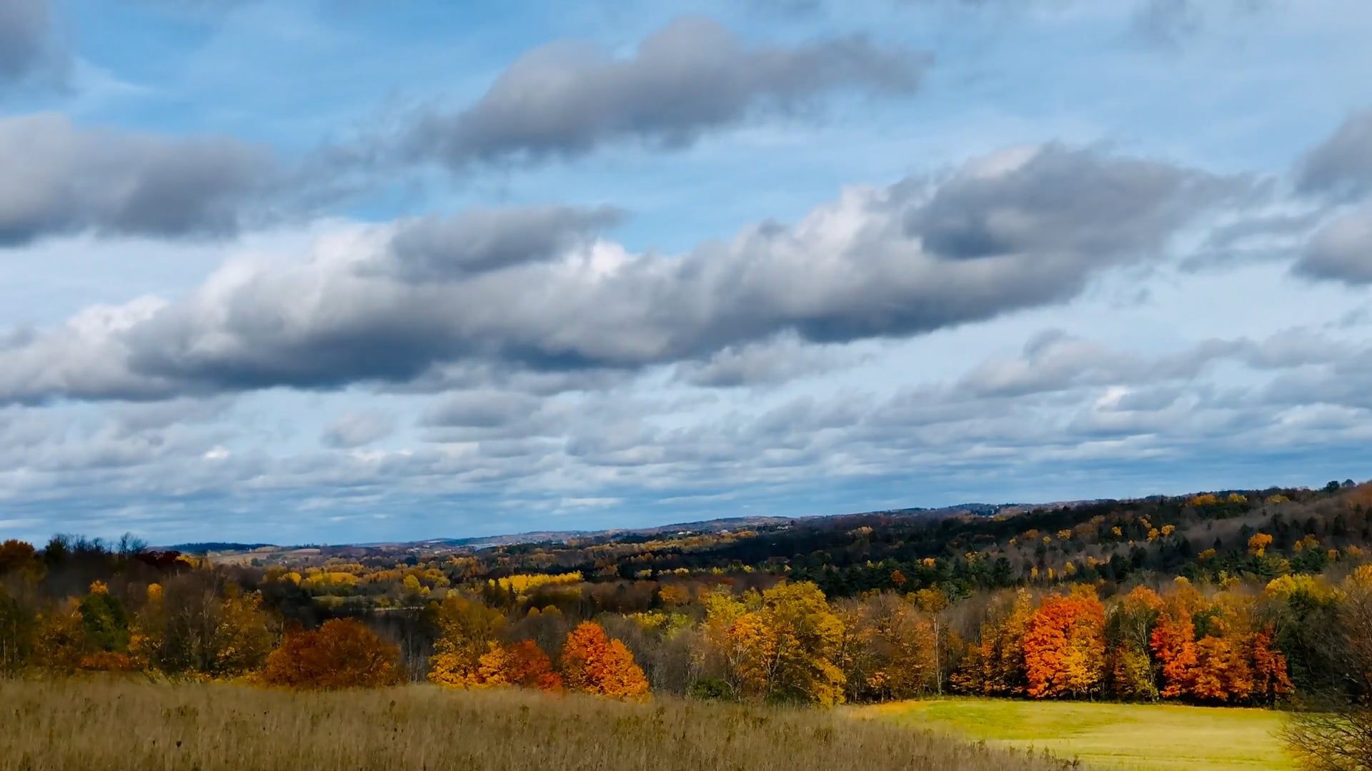Time Lapse Video of the Moving Clouds Above the Beautiful Forest During ...