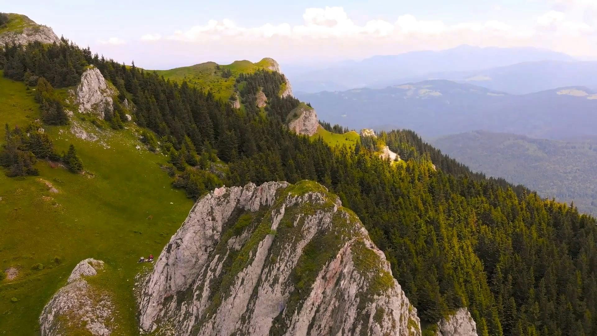 Hoia Baciu Forest, Romania Videos, Download The BEST Free 4k Stock ...