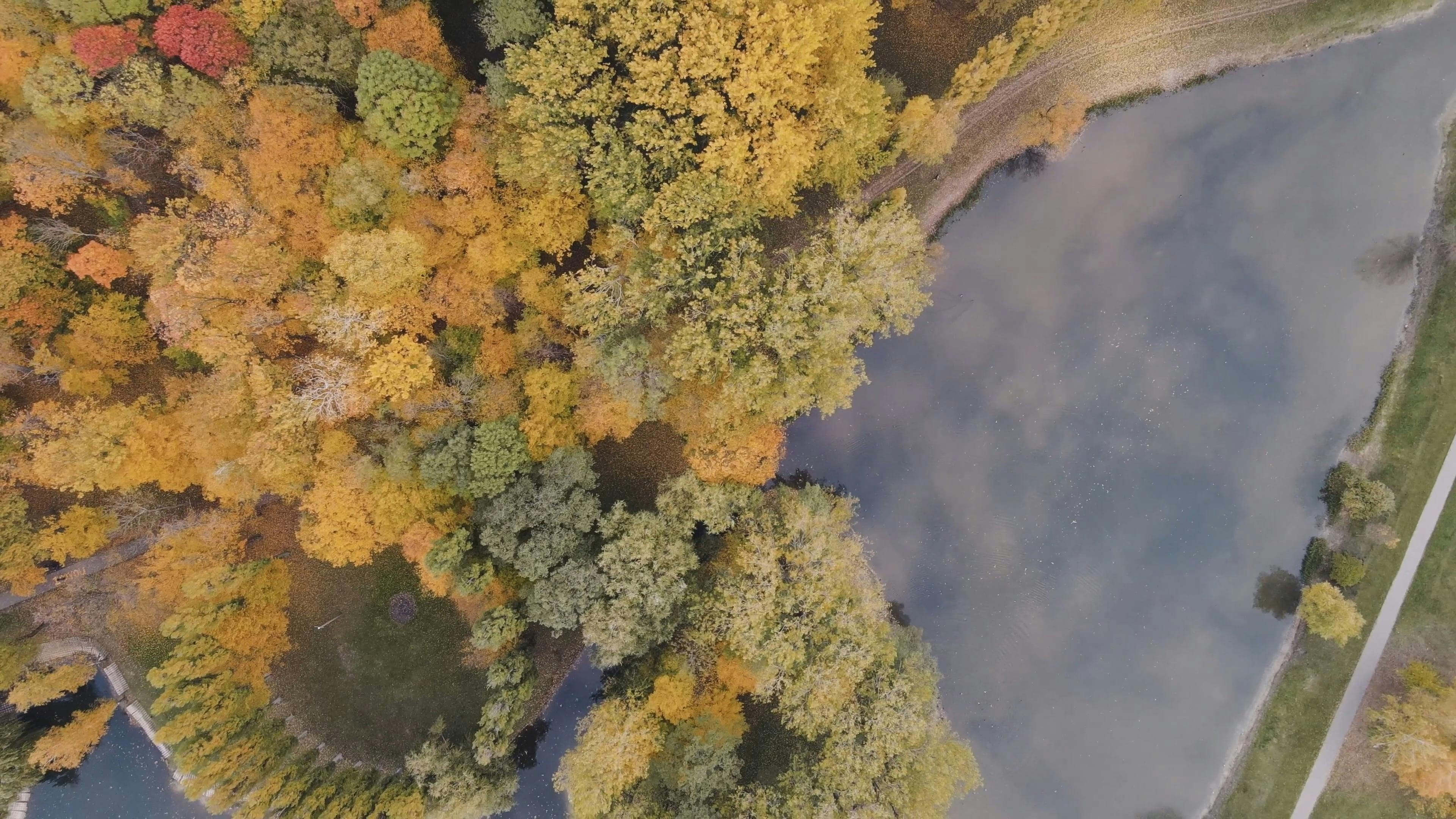 Fall From Height Videos, Download The BEST Free 4k Stock Video Footage ...