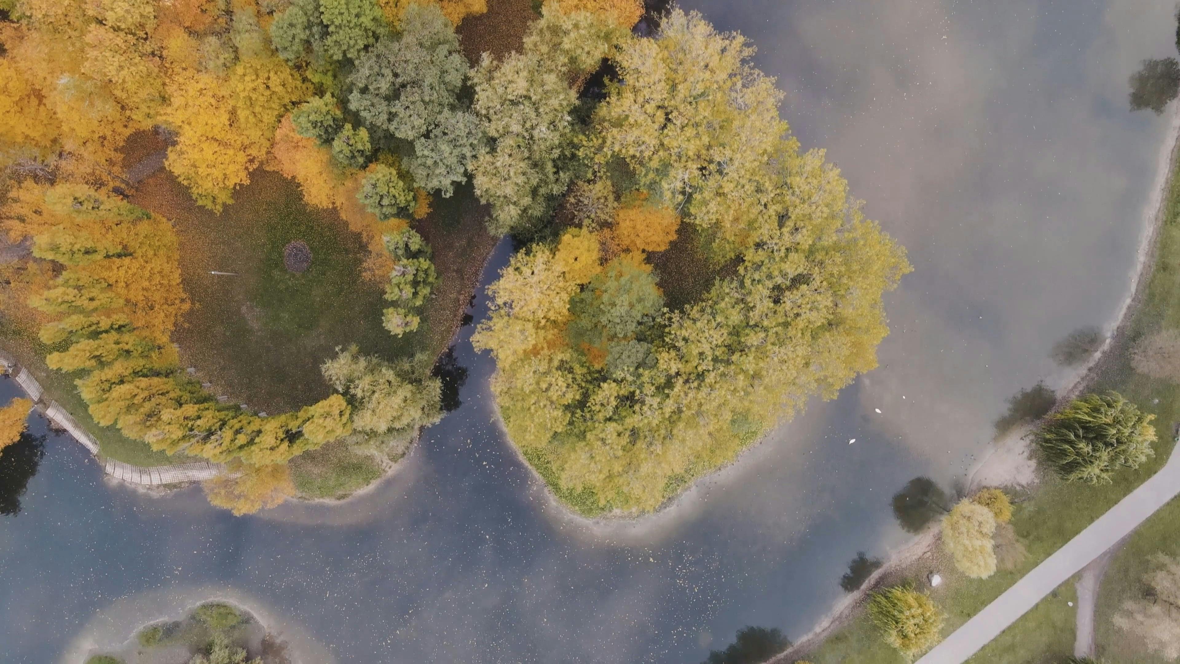 Autumn Season Free Stock Video Footage, Royalty-Free 4K & HD Video Clip