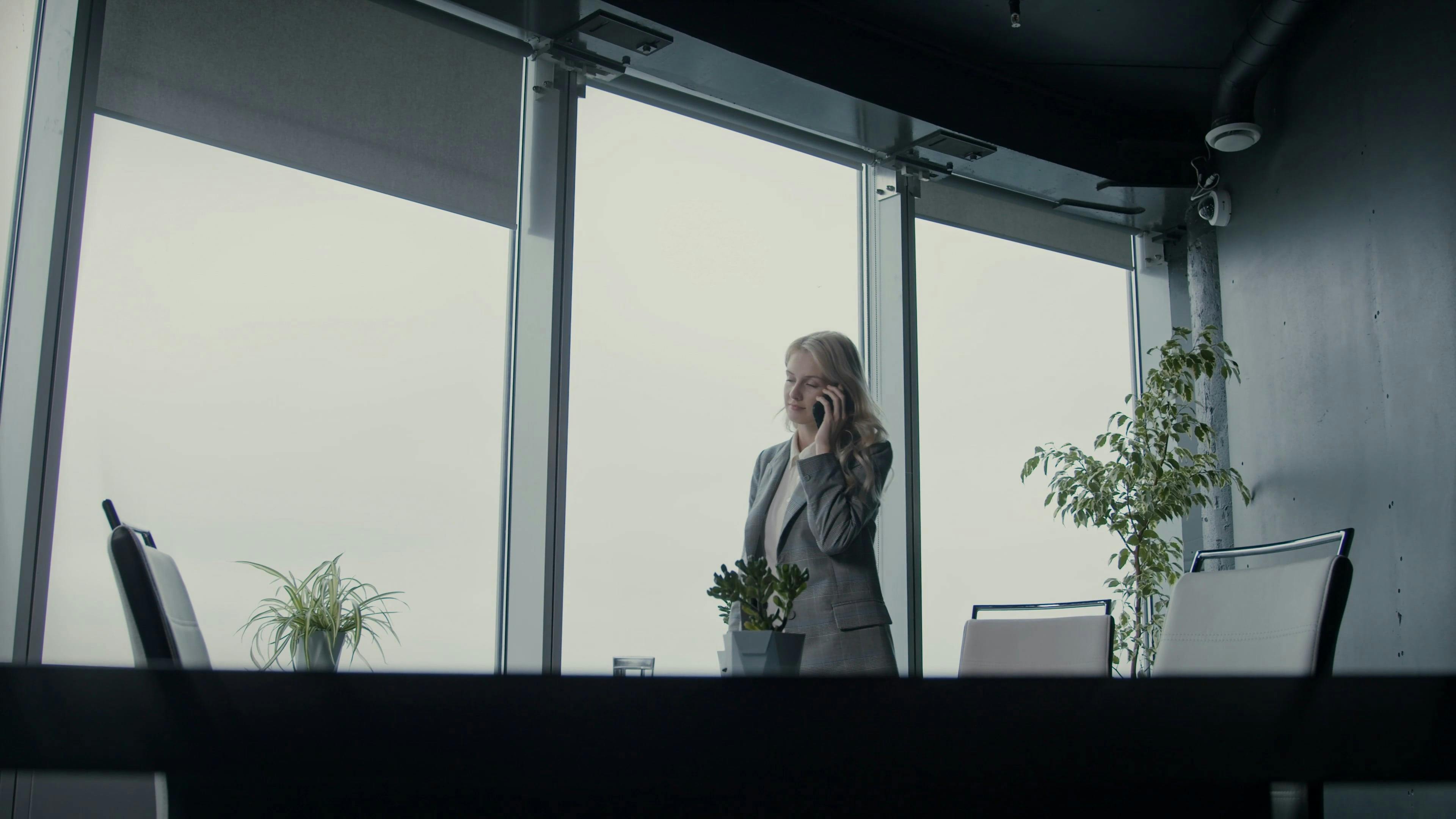 A Lady Executive Talking On Her Cellphone · Free Stock Video