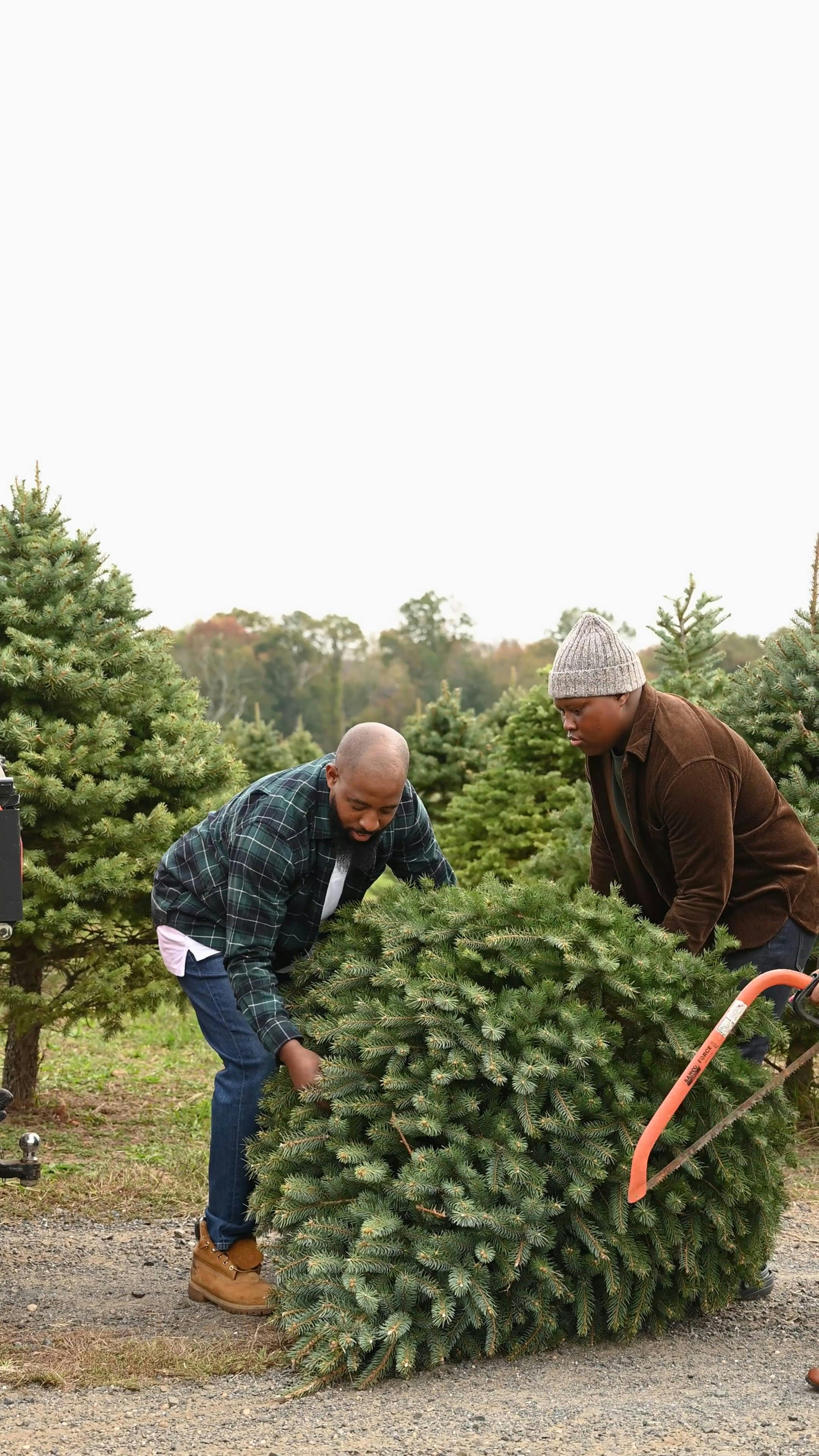 Men Loading Christmas Tree on Tow Truck Free Stock Video Footage ...