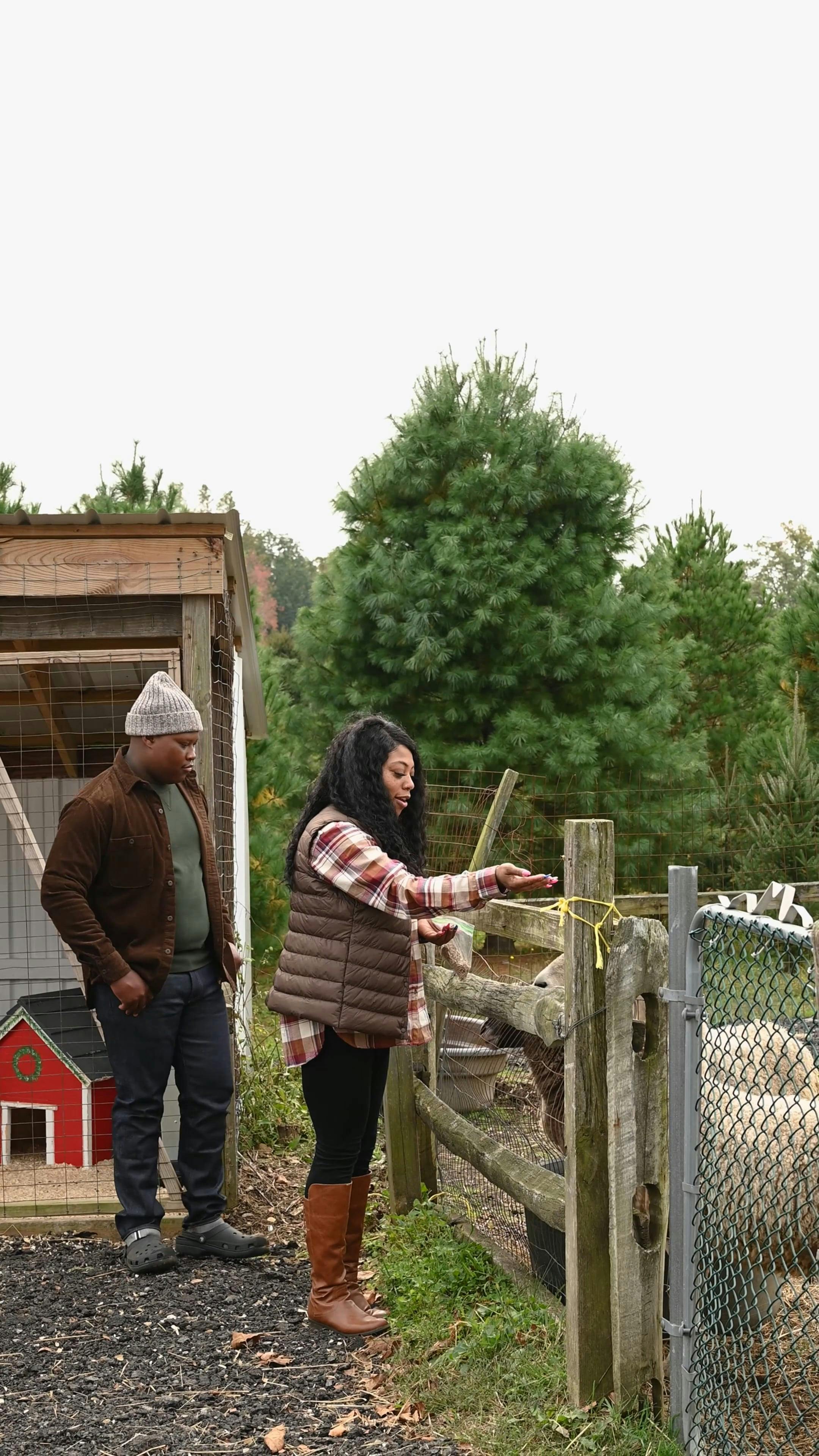 African Barn Videos, Download The BEST Free 4k Stock Video Footage ...