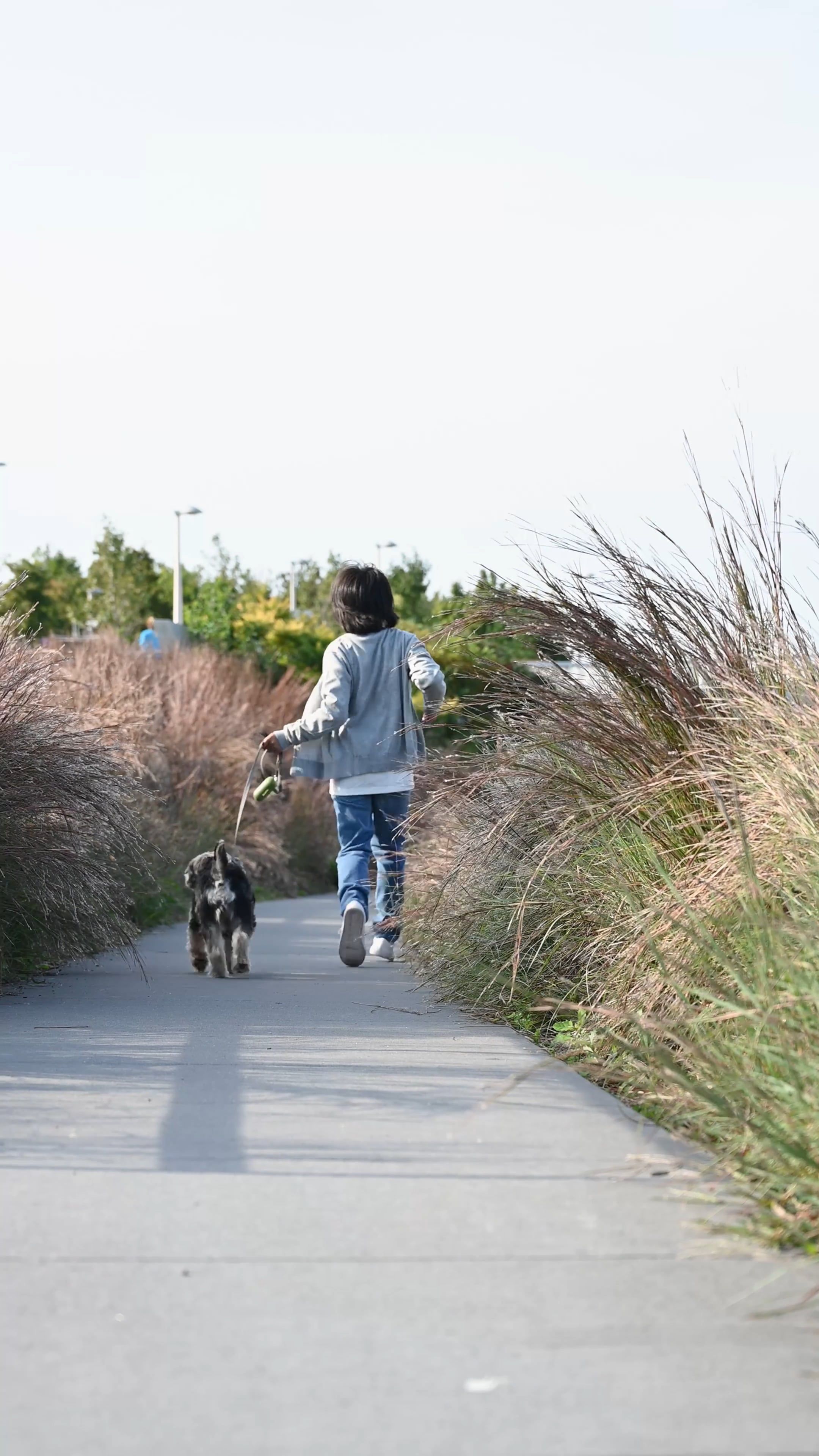 Little Boy Running with His Dog · Free Stock Video