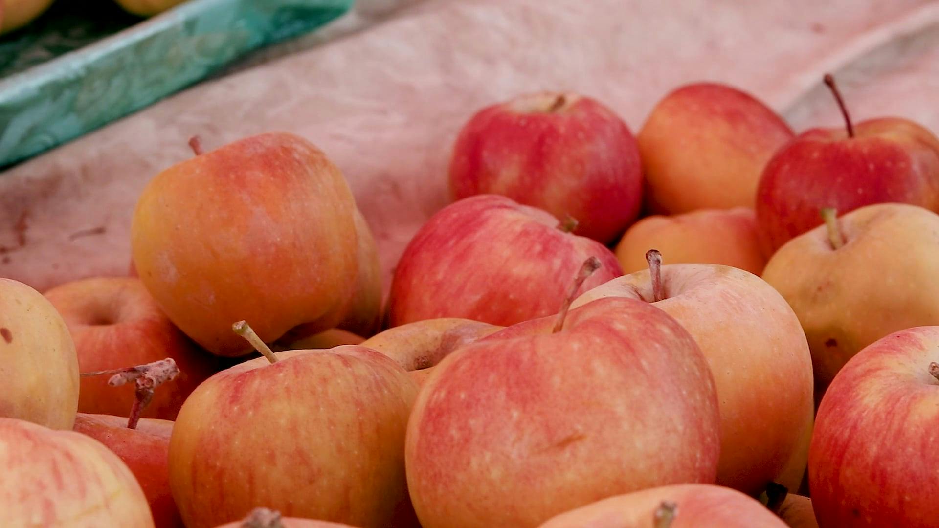 Fall Bazaar Videos, Download The BEST Free 4k Stock Video Footage ...