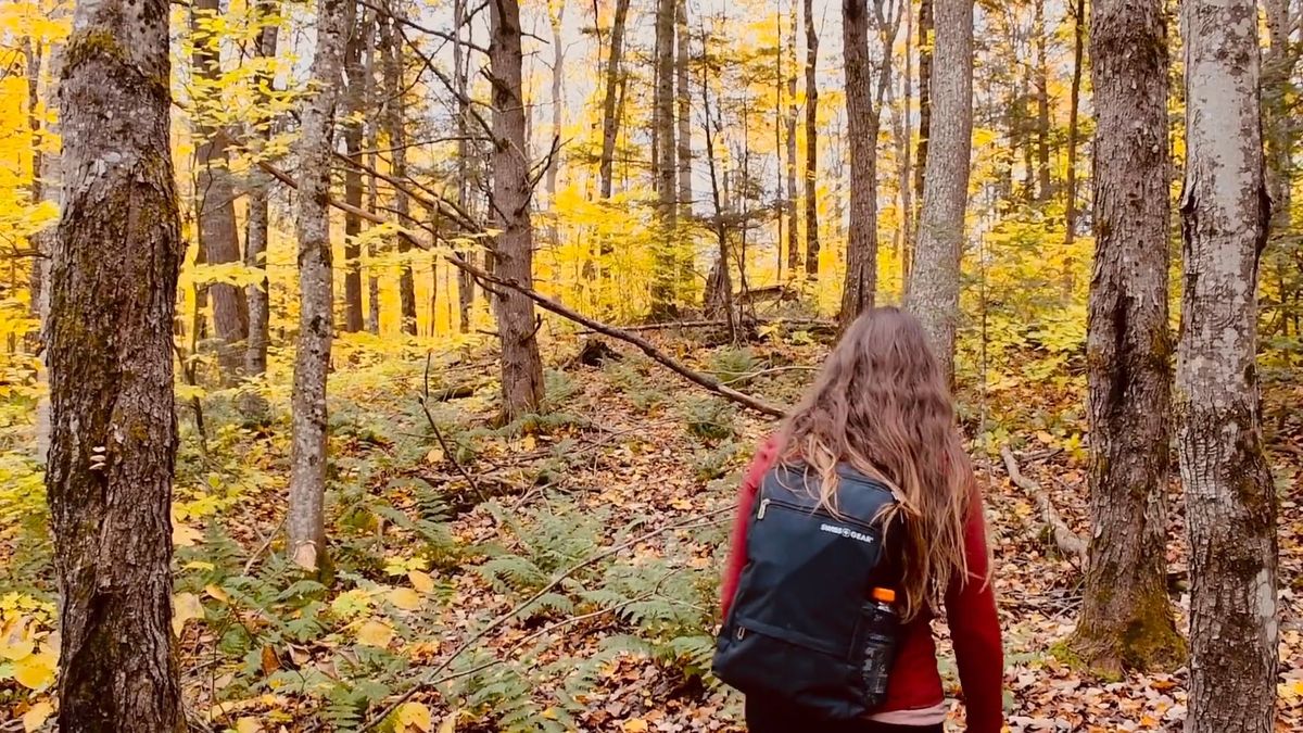 Wood Girl Videos Download The Best Free 4k Stock Video Footage And Wood