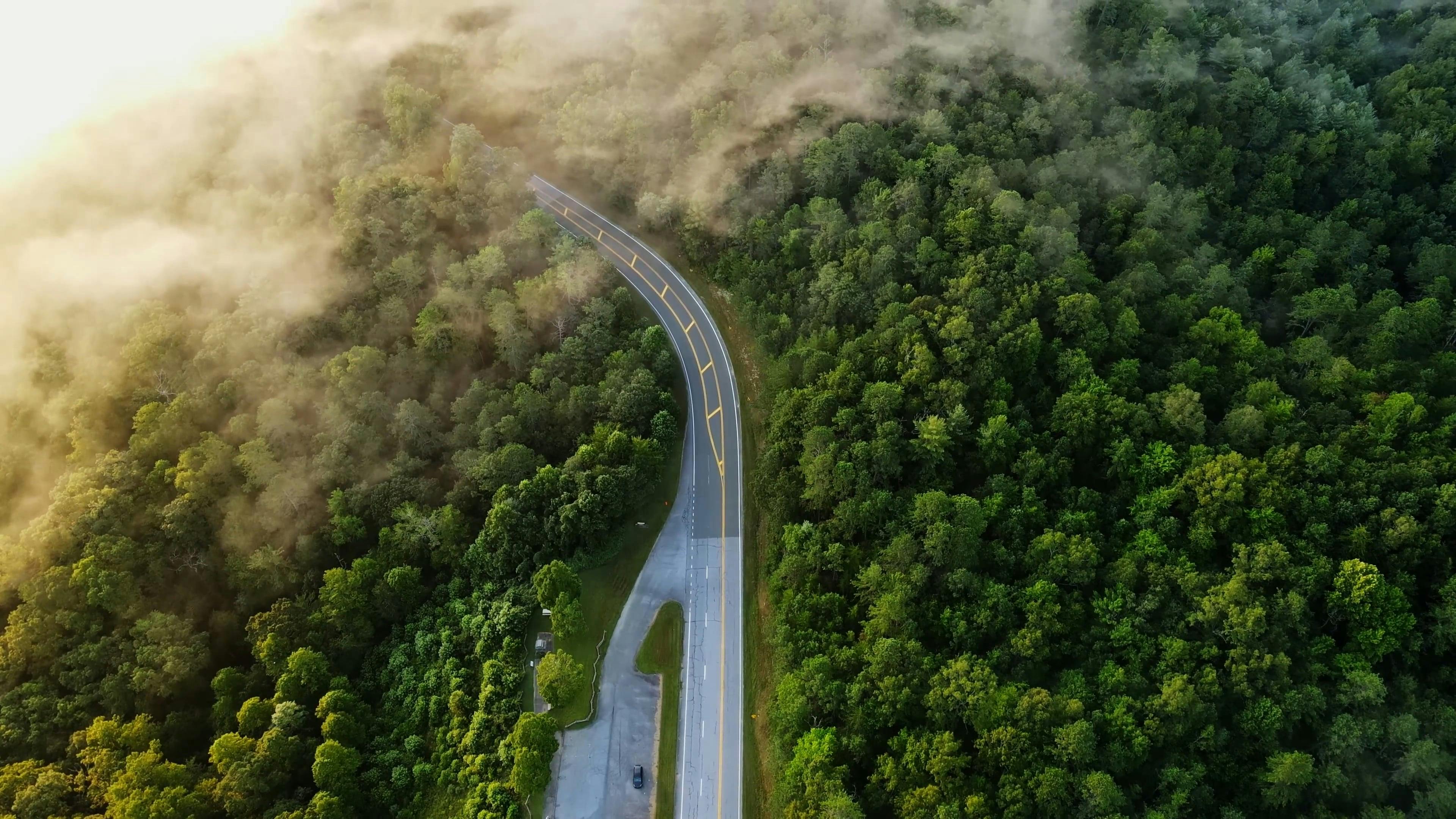 Drone Footage Of Road In Between Trees Free Stock Video Footage ...