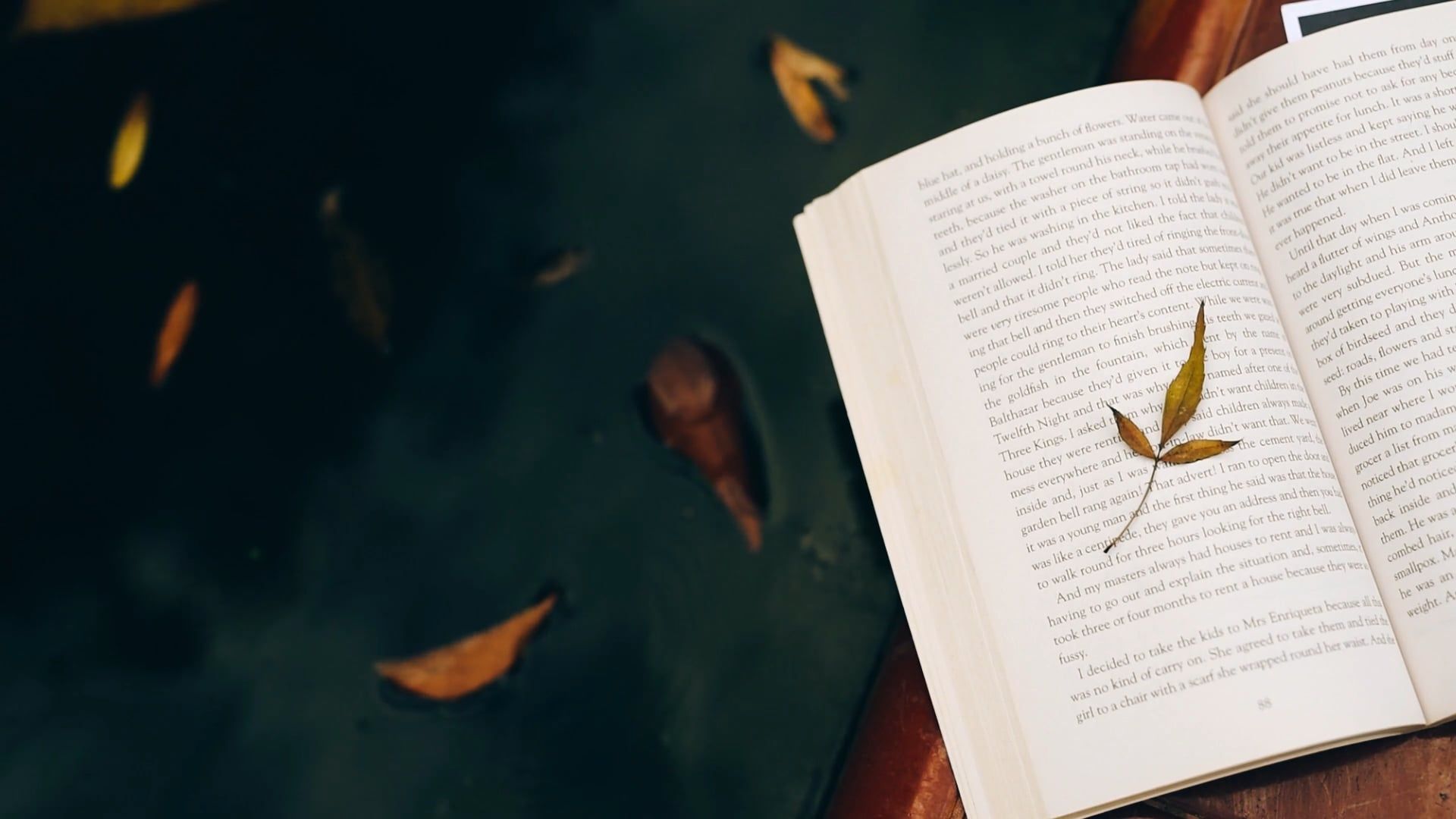Top View of an Open Book Free Stock Video Footage, Royalty-Free 4K & HD ...