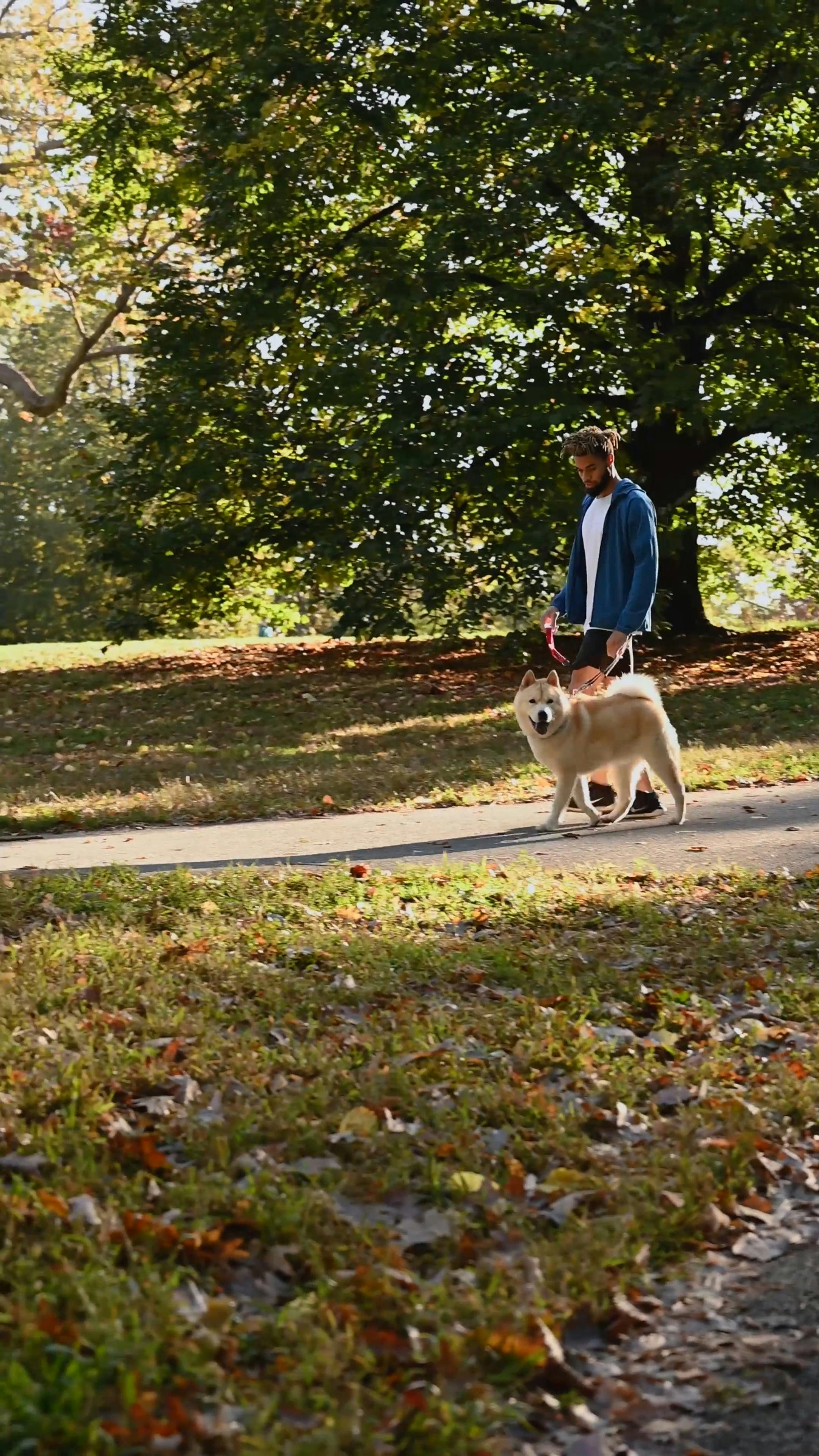 Man Walking His Dog on the Park · Free Stock Video