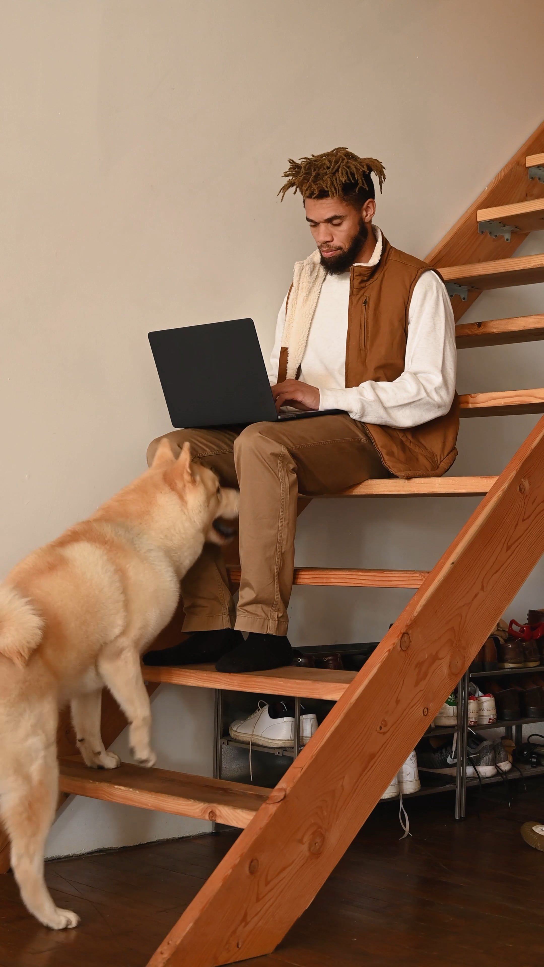Man Feeding a Dog · Free Stock Video