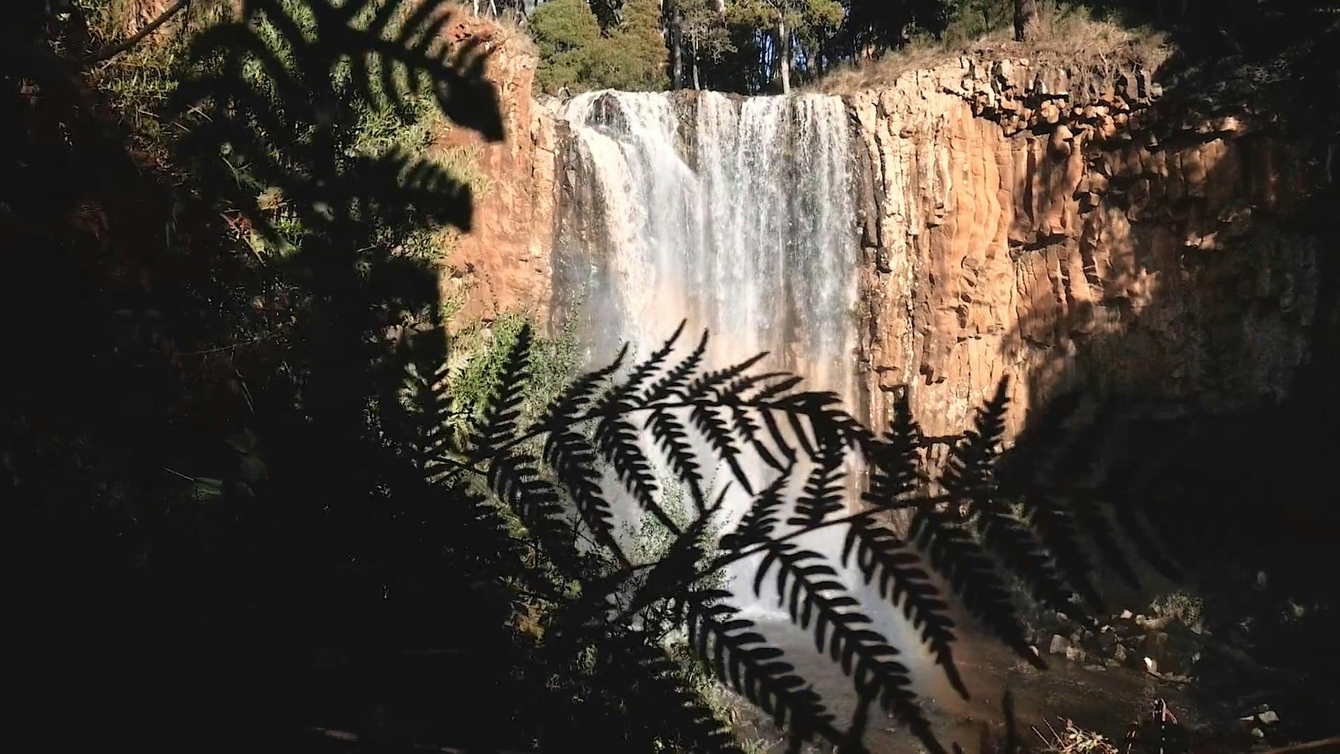 Beautiful Sight Of Nature · Free Stock Video