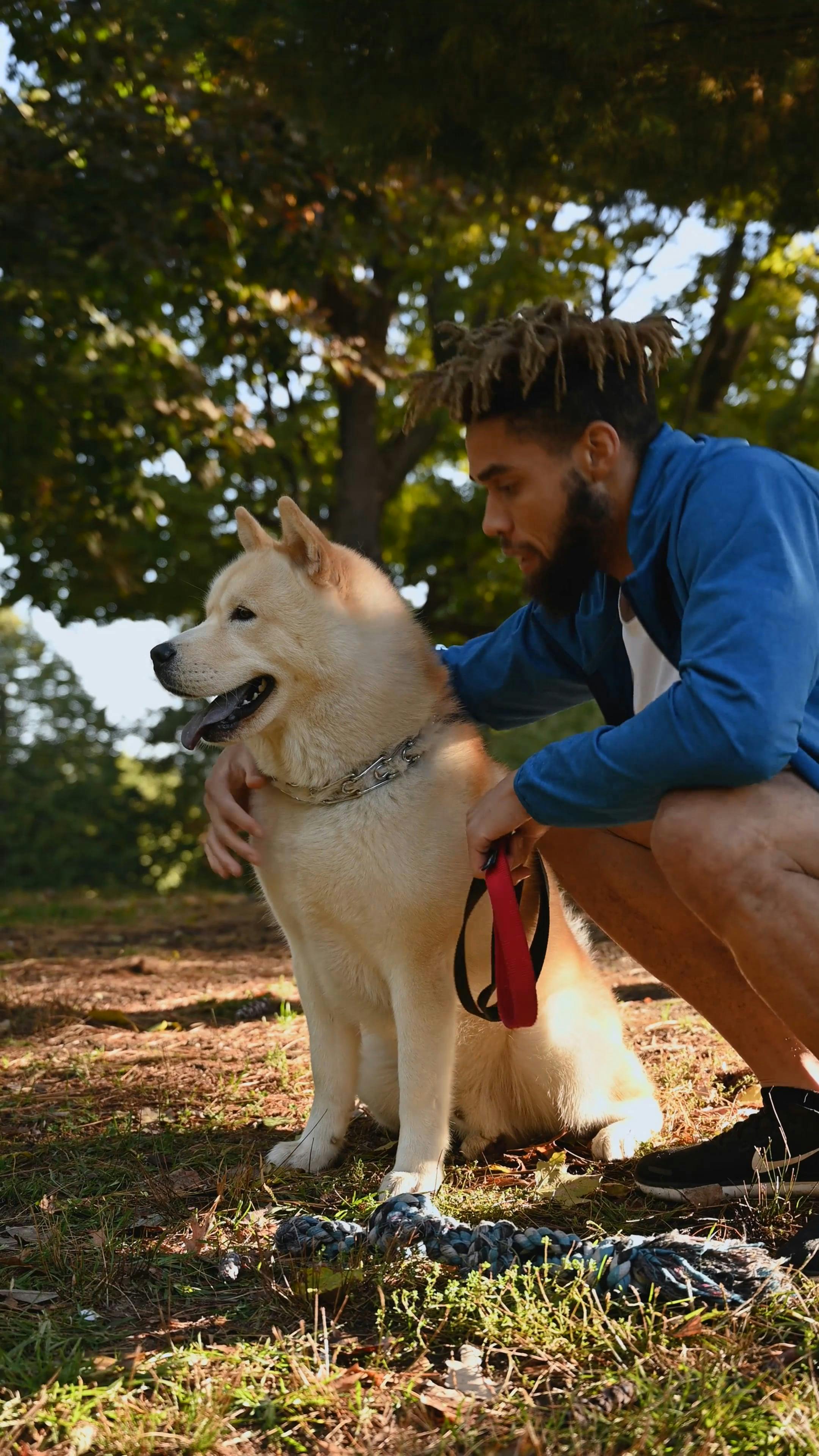 Person Petting a Dog · Free Stock Video