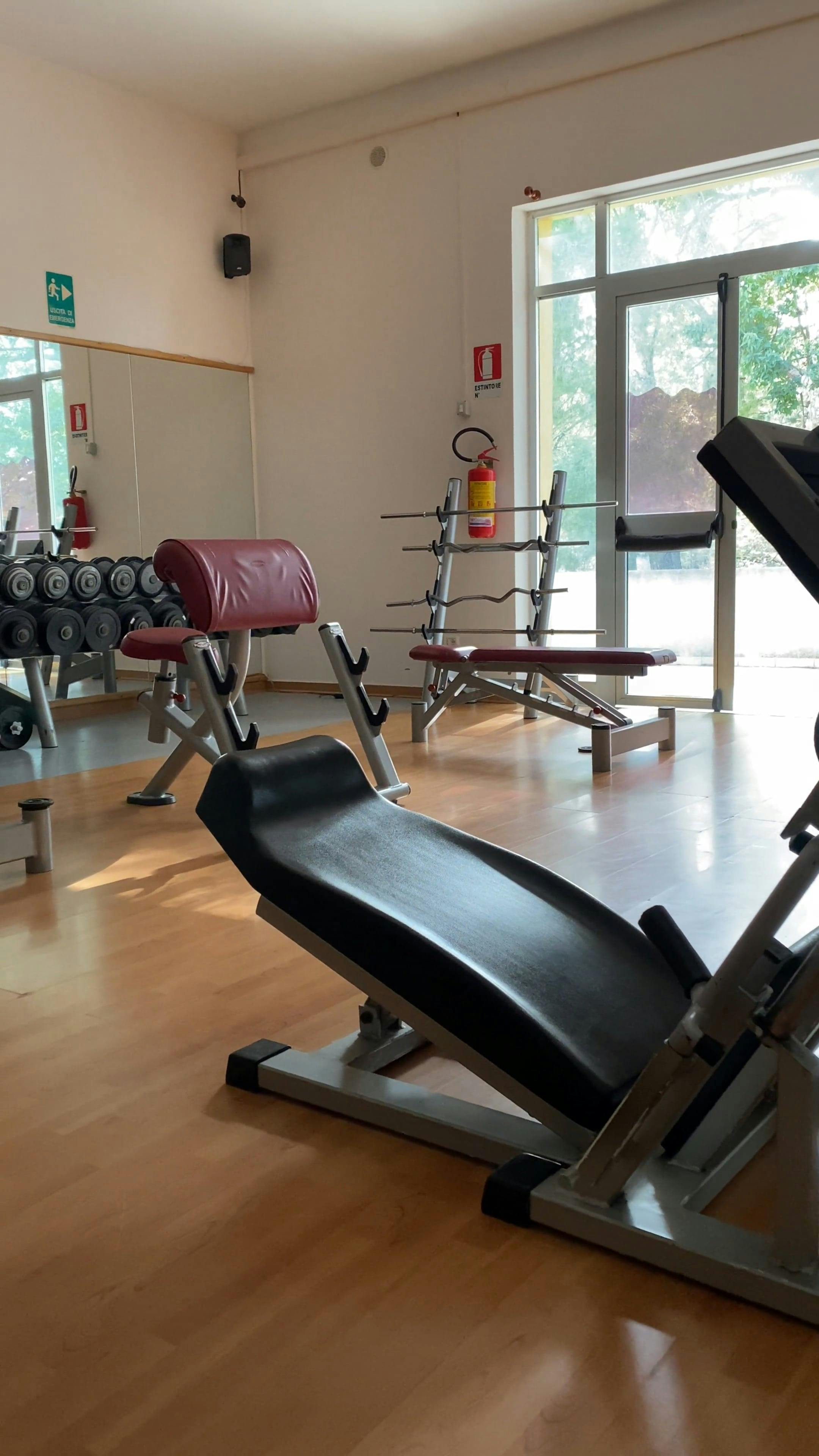 Barbell Rows Videos, Download The BEST Free 4k Stock Video Footage ...