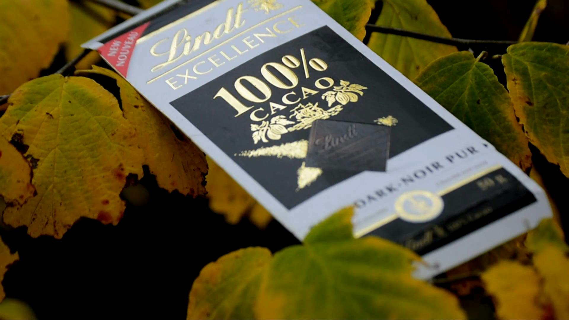 Lindt Chocolate Bar Packaging on Tree Branch Free Stock Video Footage ...