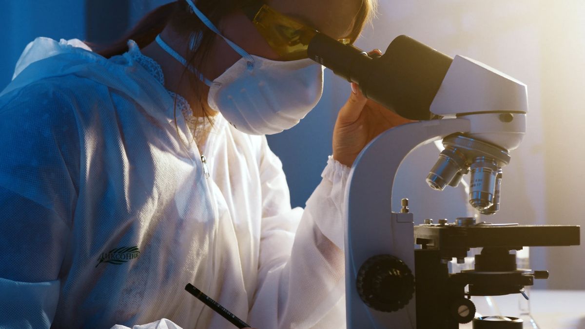 Chemist Videos, Download The BEST Free 4k Stock Video Footage & Chemist ...