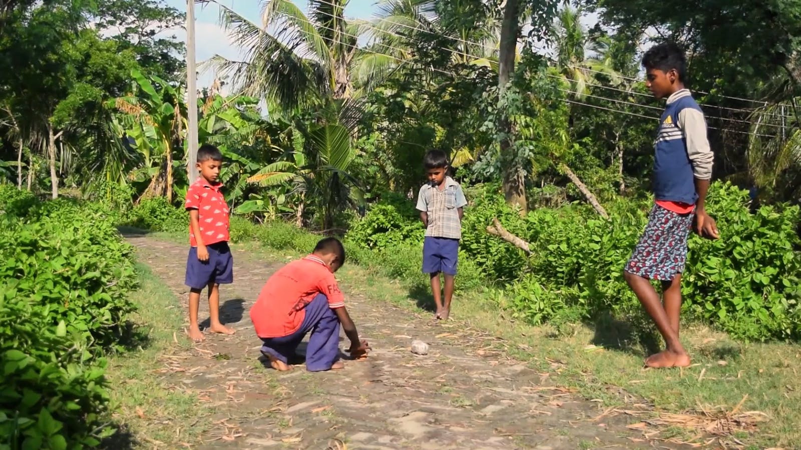 Children Planting Trees Videos, Download The BEST Free 4k Stock Video ...