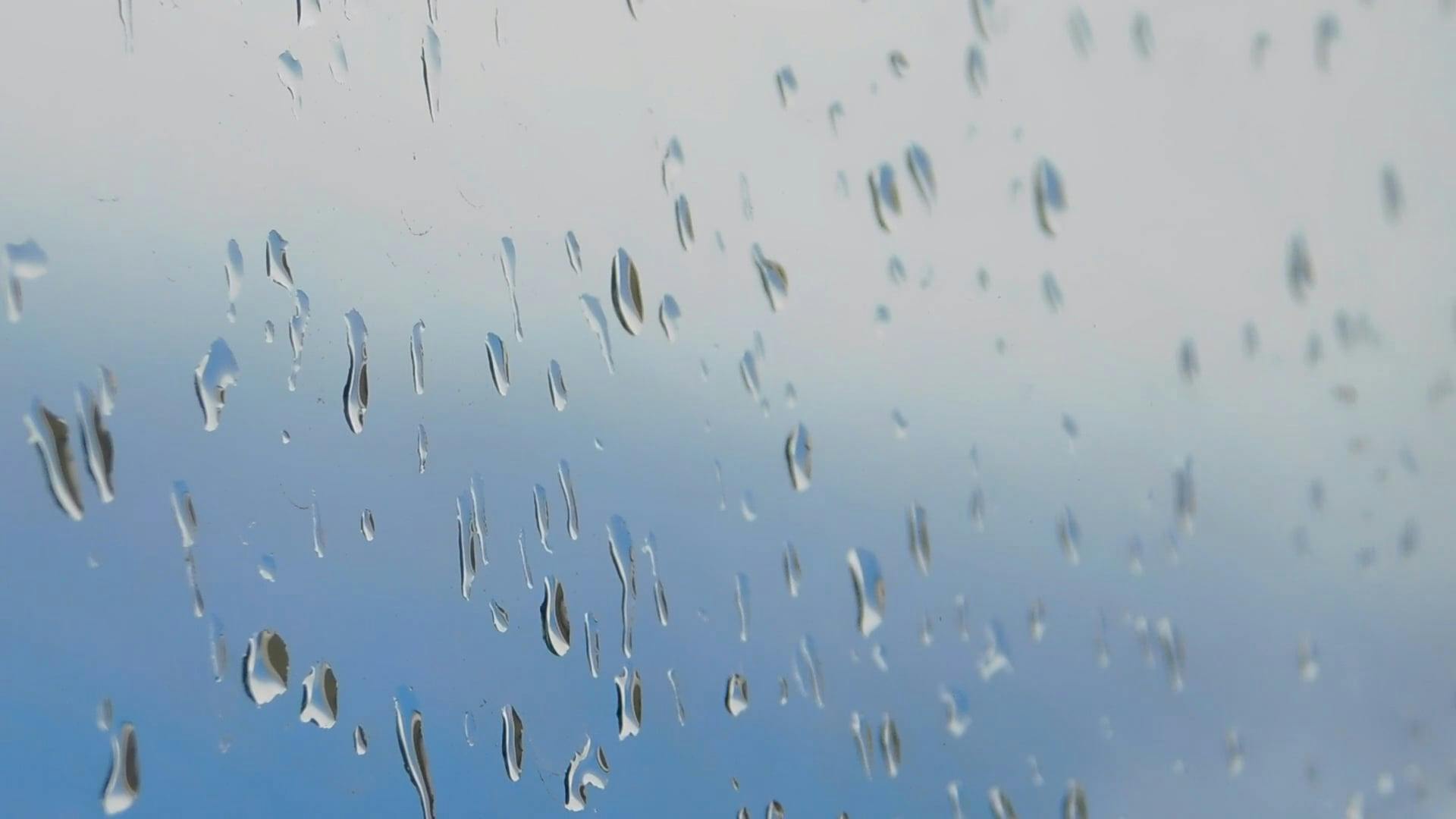 Focus Elements Videos, Download The BEST Free 4k Stock Video Footage & Focus Elements HD Video Clips