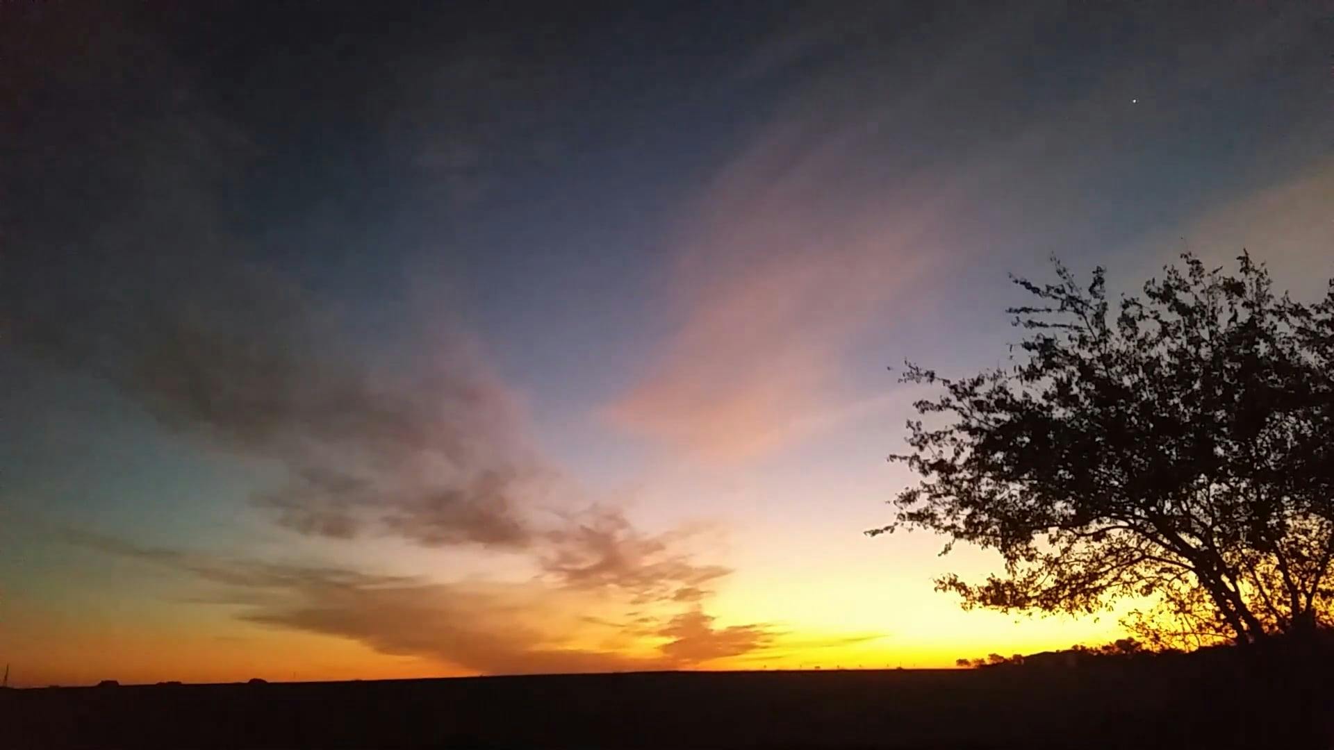 Vídeos de stock gratuitos sobre @al aire libre, agricultura, alba ...
