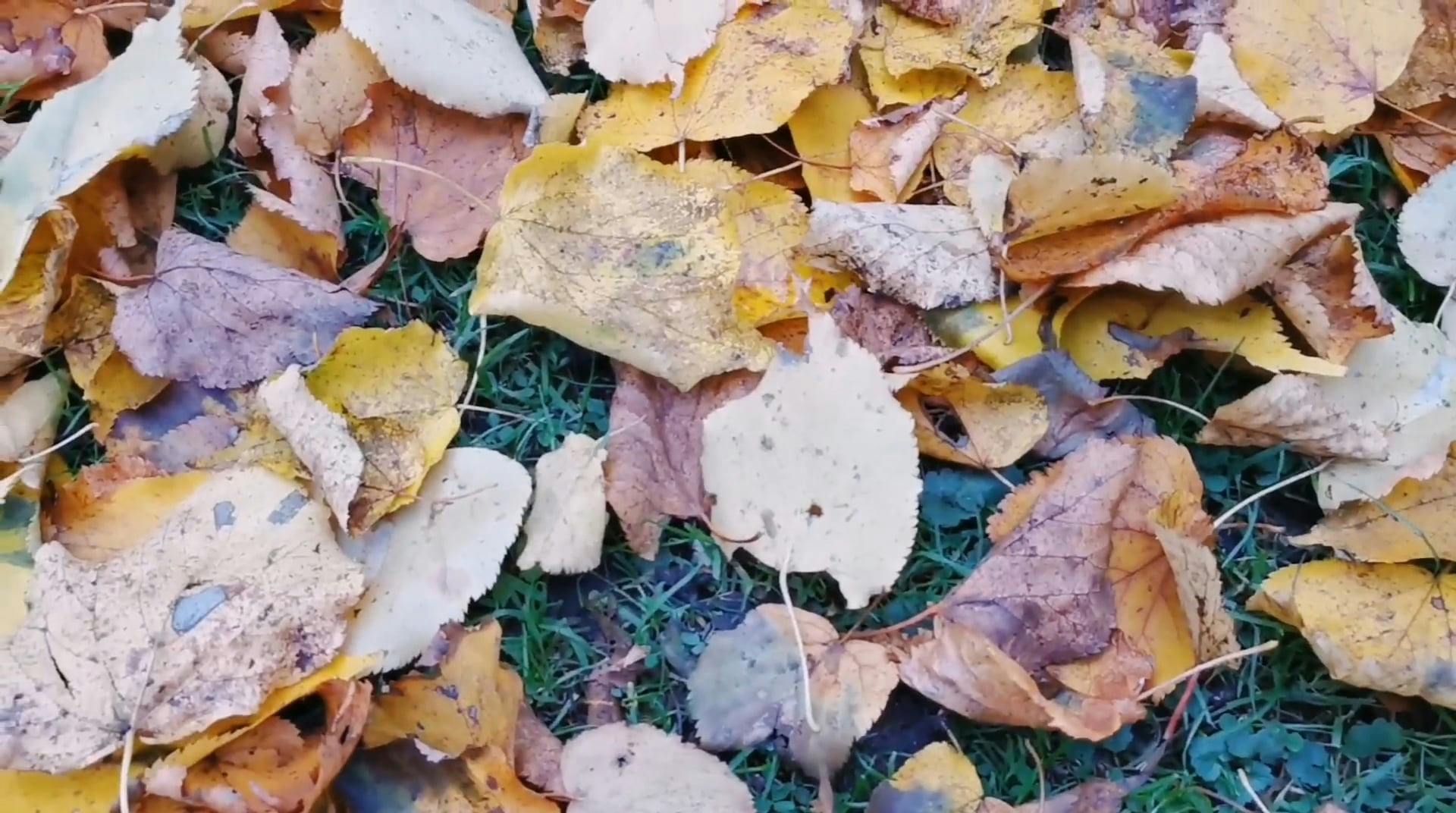 Dry City Videos, Download The BEST Free 4k Stock Video Footage & Dry ...