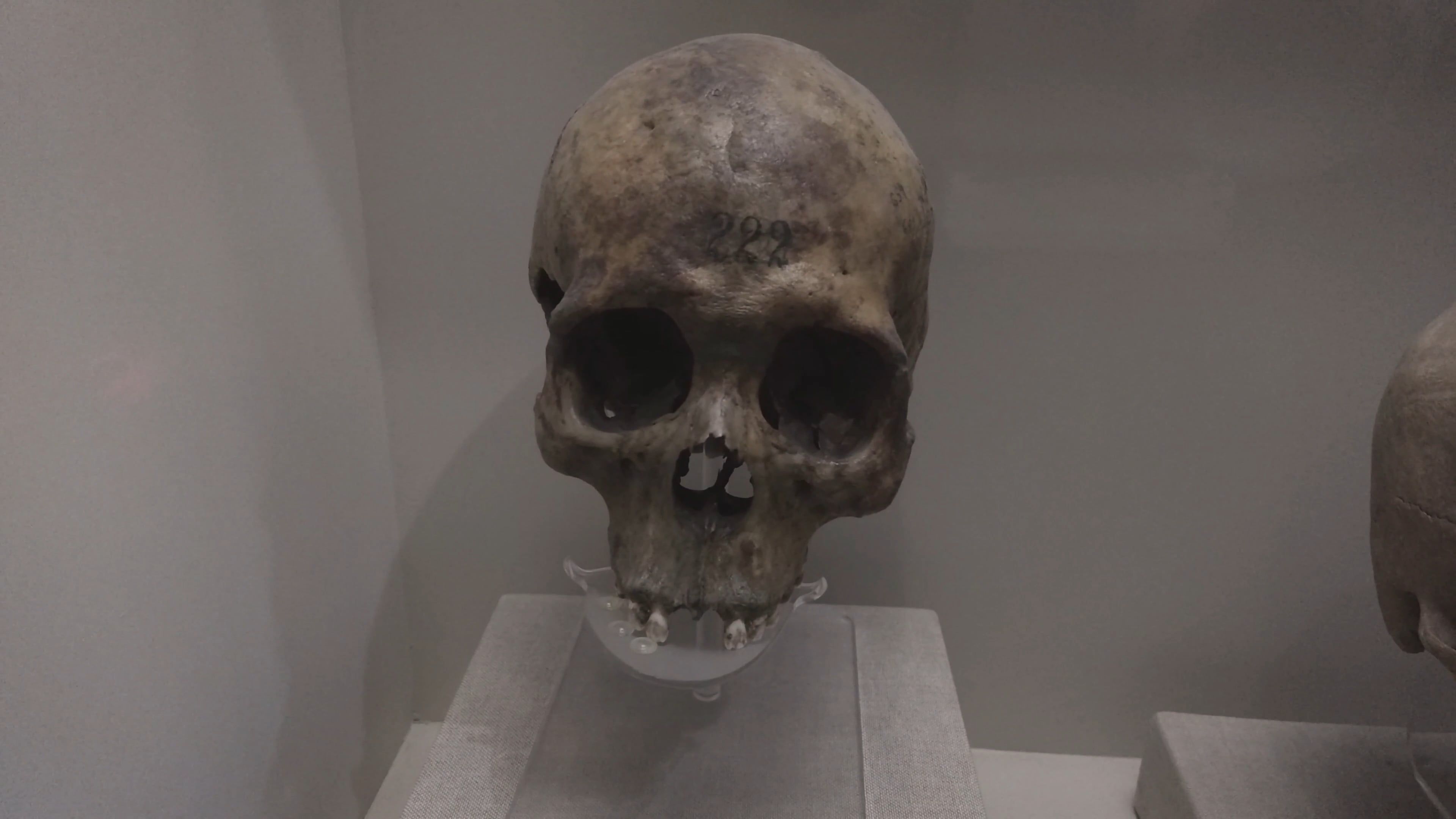 Bangkok Forensic Museum Videos, Download The BEST Free 4k Stock Video ...