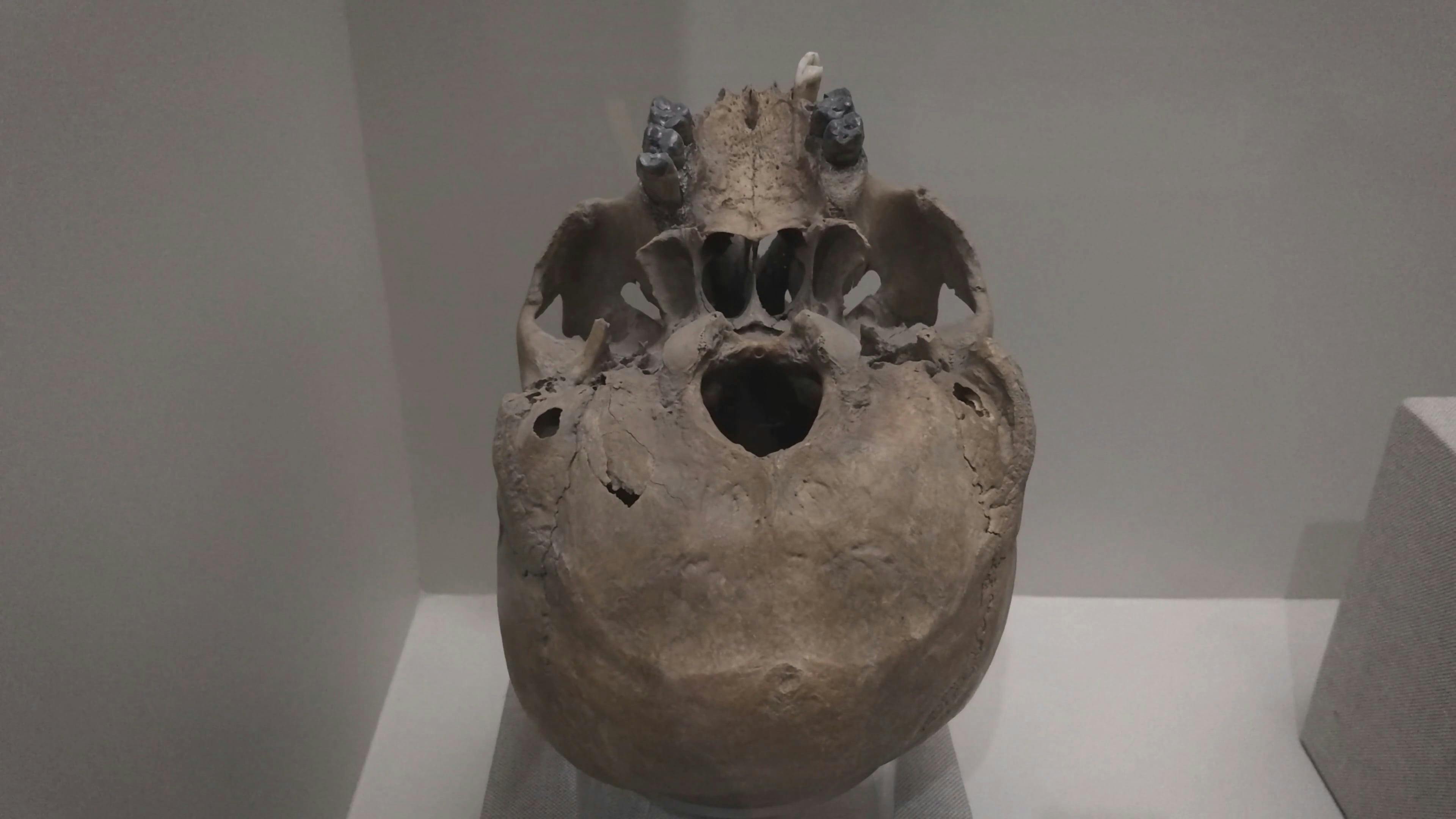 Skeletal Face Videos, Download The BEST Free 4k Stock Video Footage ...