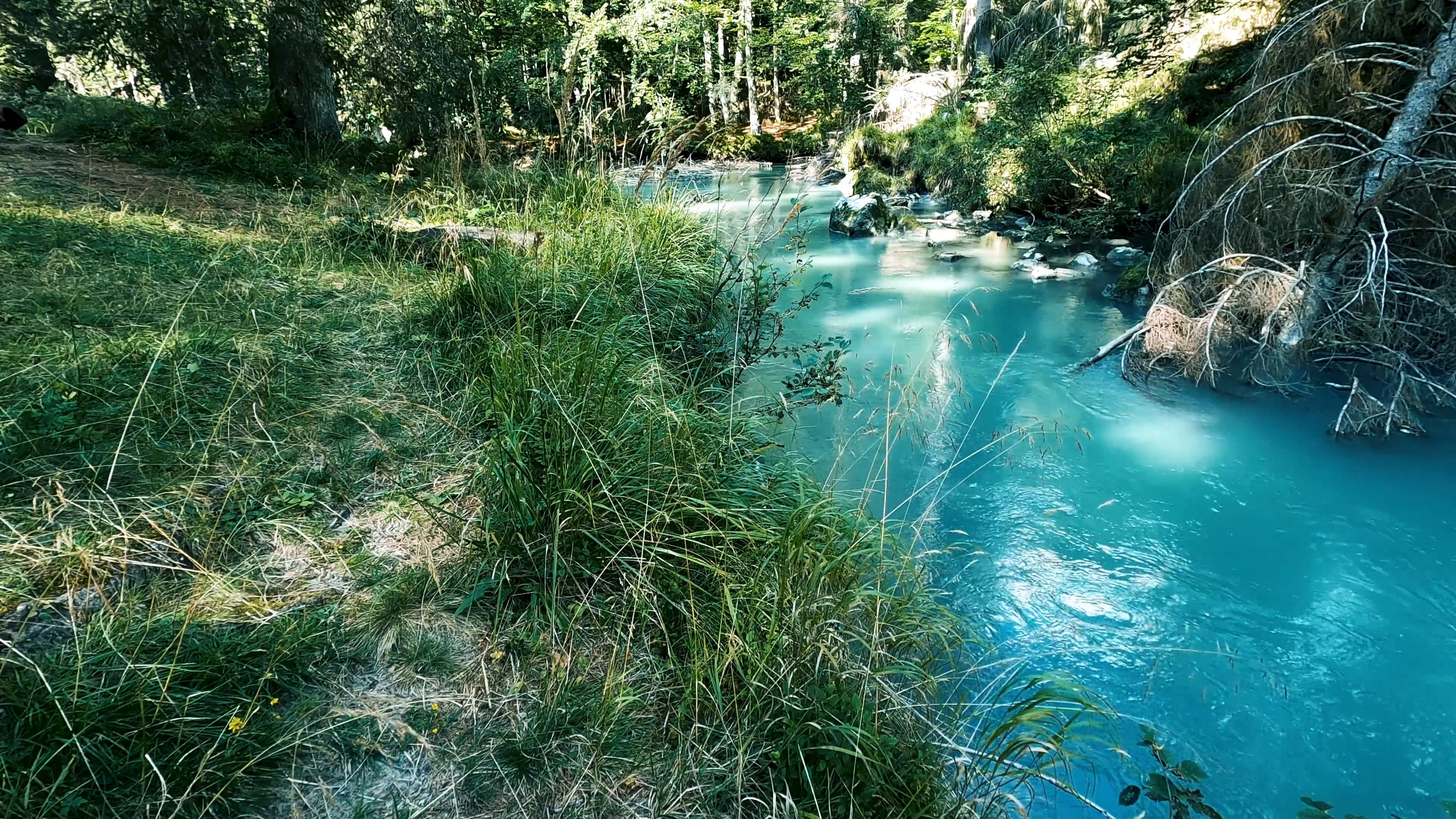 Turquoise River Flowing through the Forest Free Stock Video Footage ...