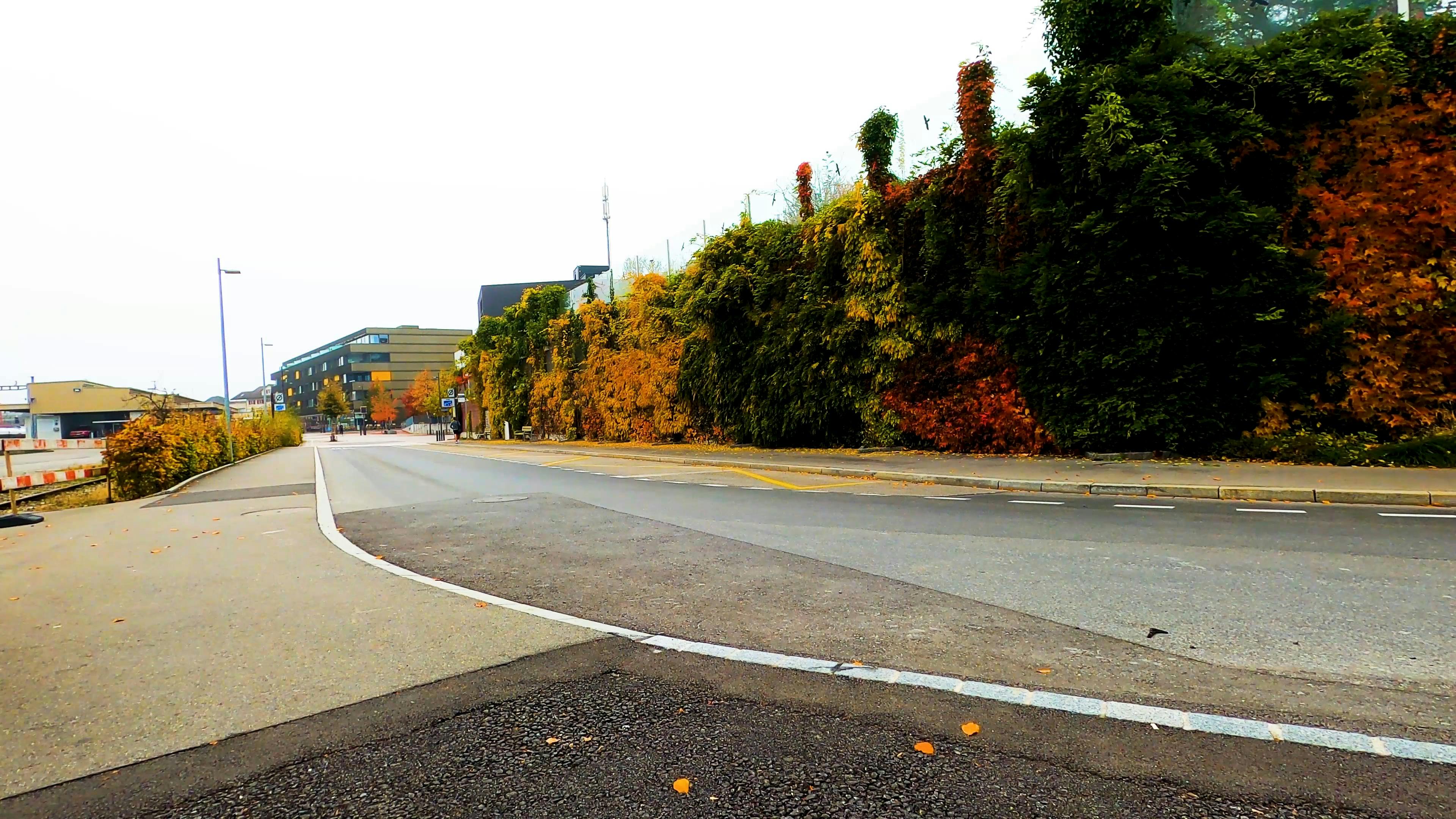 Main Pathway Videos, Download The BEST Free 4k Stock Video Footage ...