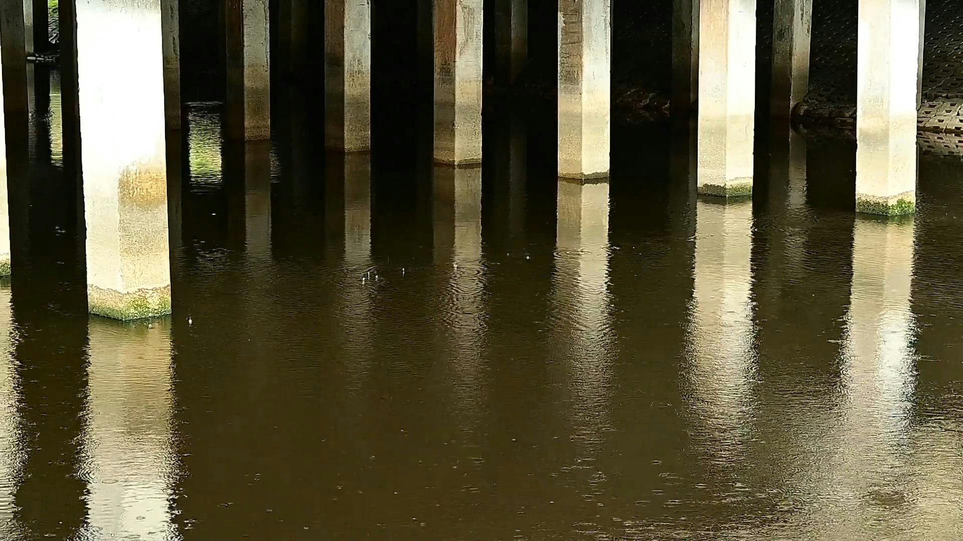 Raindrops on a Water Canal Free Stock Video Footage, Royalty-Free 4K ...