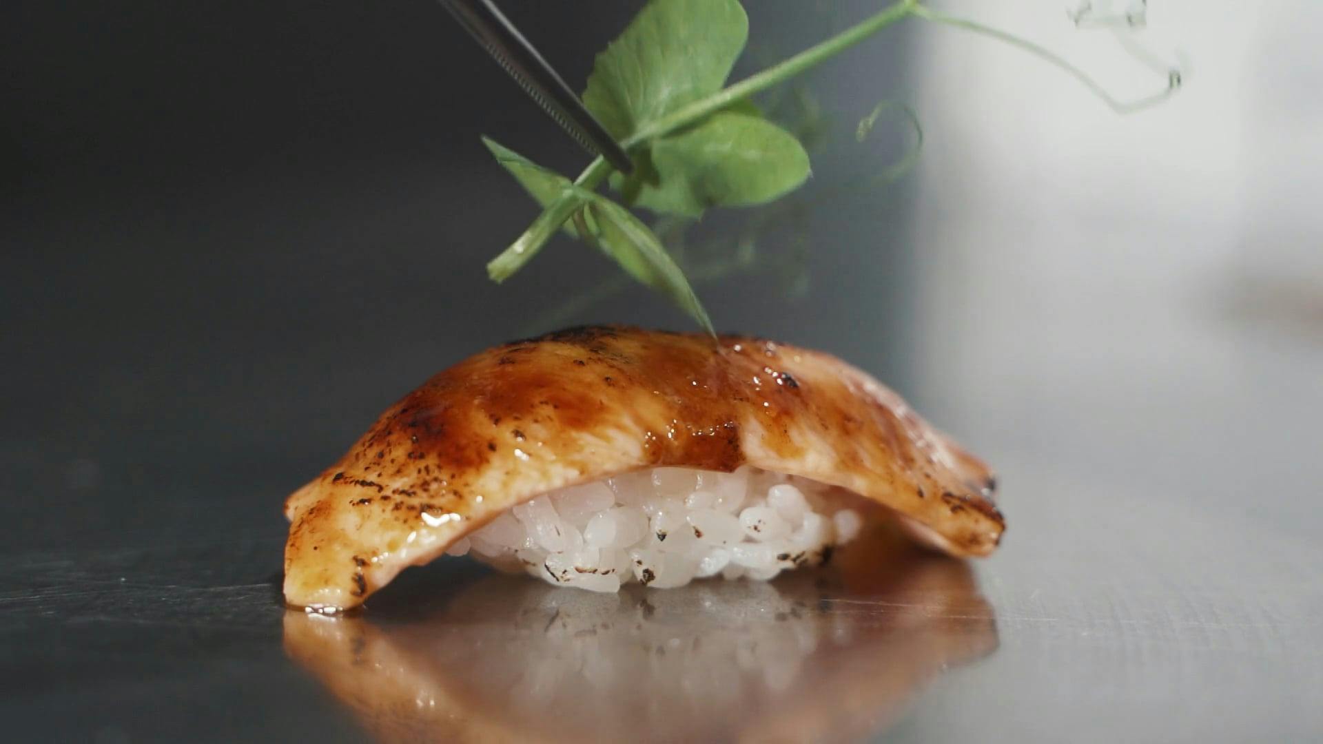 Lost Fish Bites Videos, Download The BEST Free 4k Stock Video Footage ...