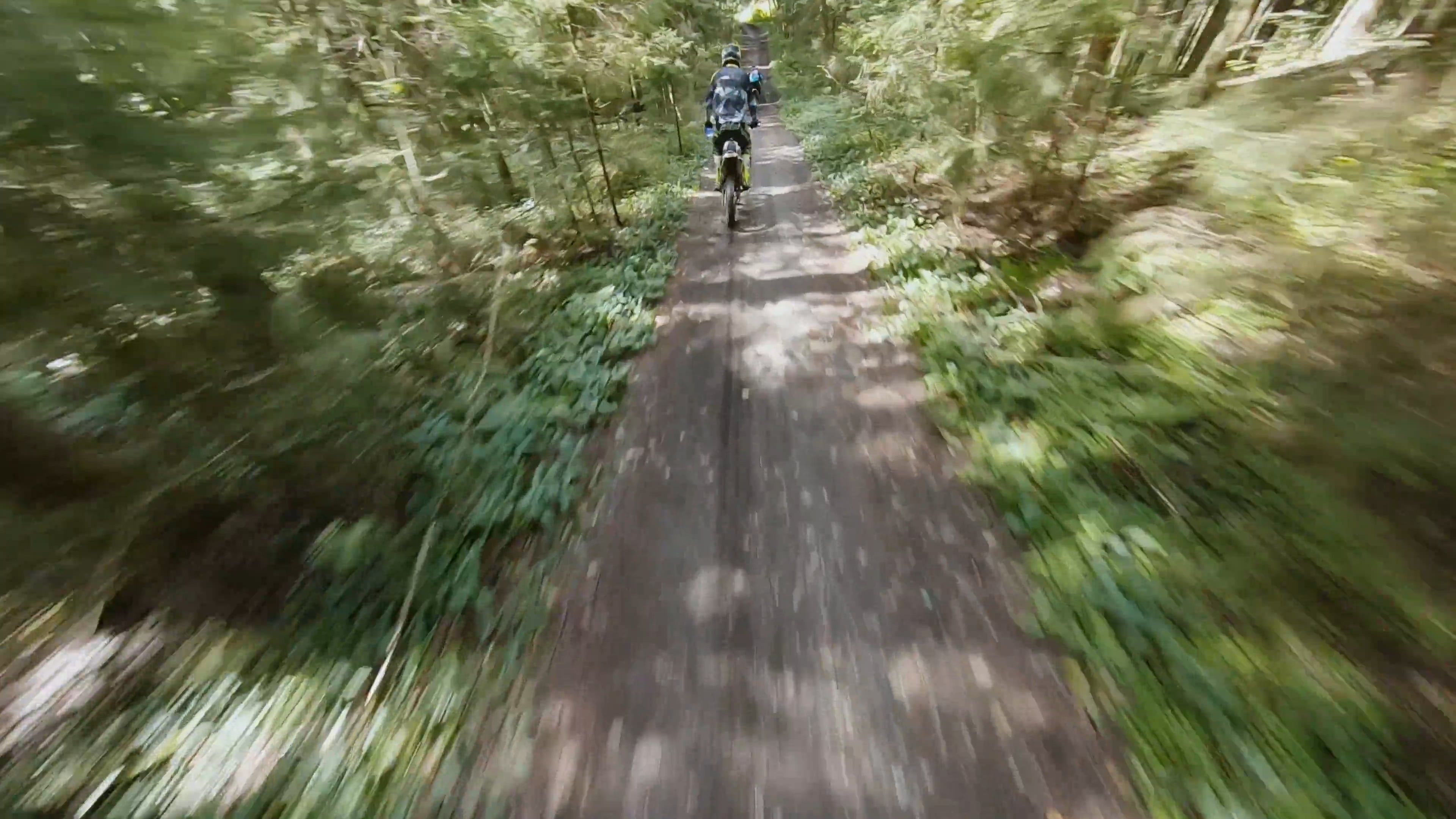 Back View of a Driving Dirt Bike in Forest Free Stock Video Footage ...