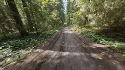 Dirt Videos, Download The BEST Free 4k Stock Video Footage & Dirt HD ...