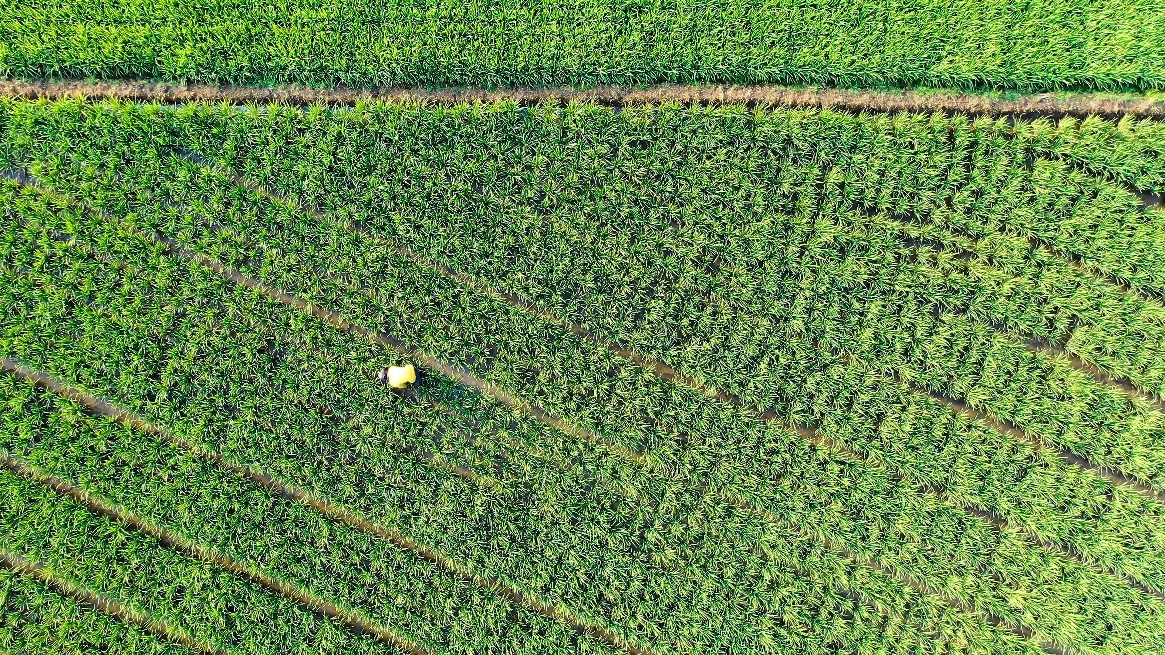Farmer At Work Videos, Download The BEST Free 4k Stock Video Footage ...