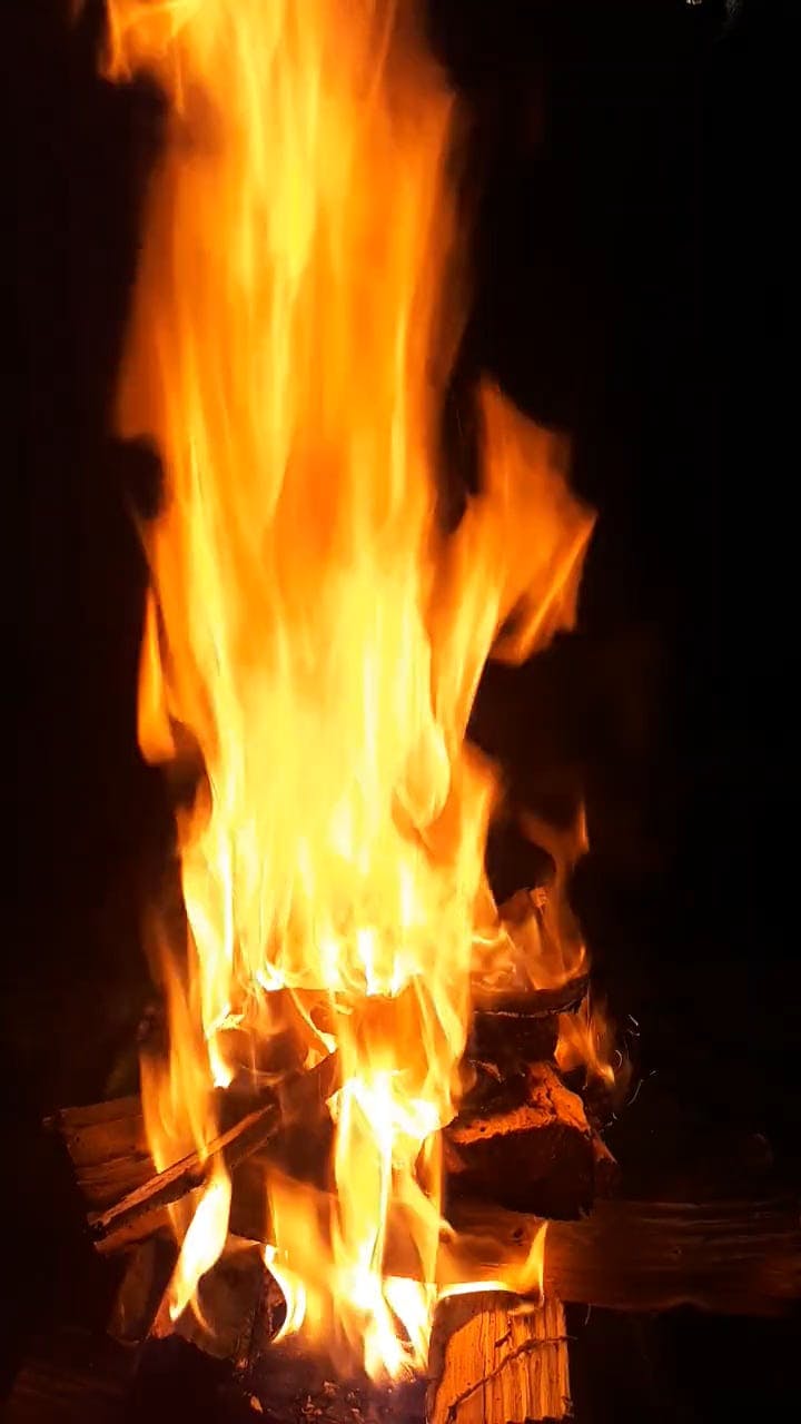 Watching A Small Portion Of A Wood On Fire Free Stock Video Footage ...