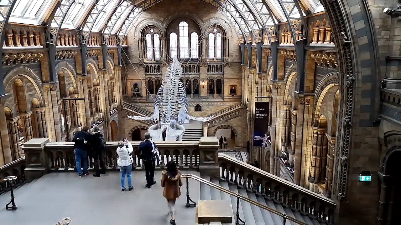 A Time Lapse inside a Museum Free Stock Video Footage, Royalty-Free 4K ...