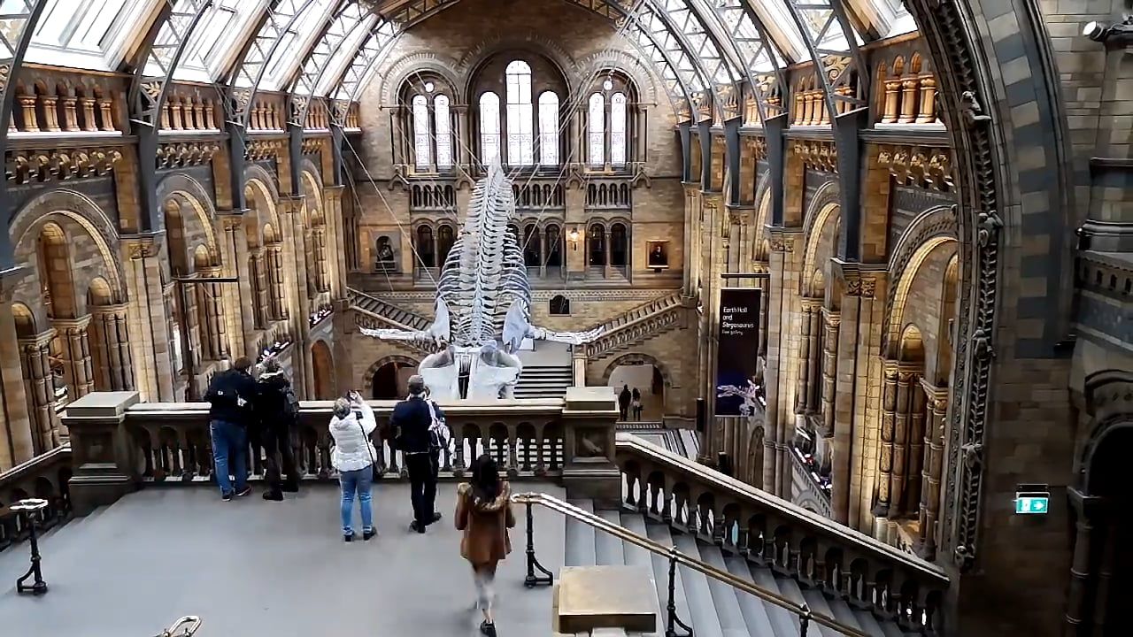 1.000+ melhores vídeos de Museu · Download 100% grátis · Vídeos ...