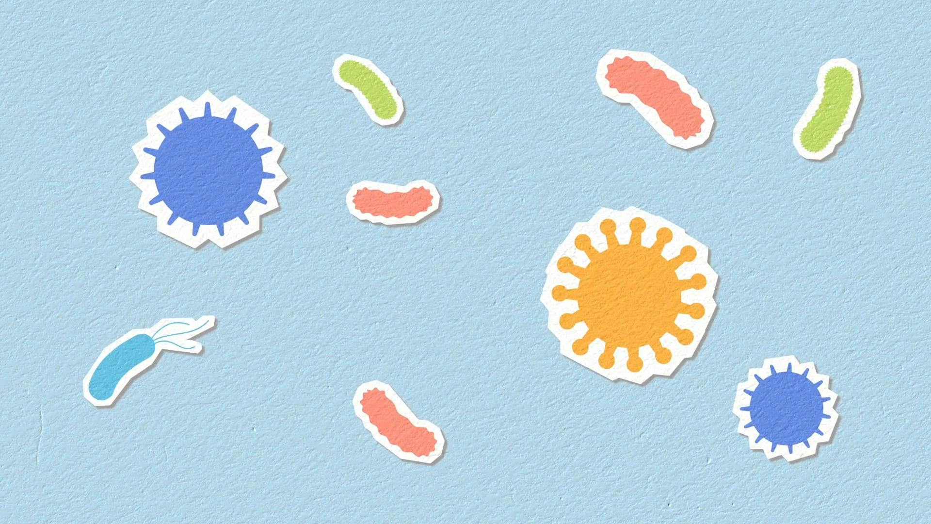 Cleaning Cartoons Videos, Download The BEST Free 4k Stock Video Footage ...