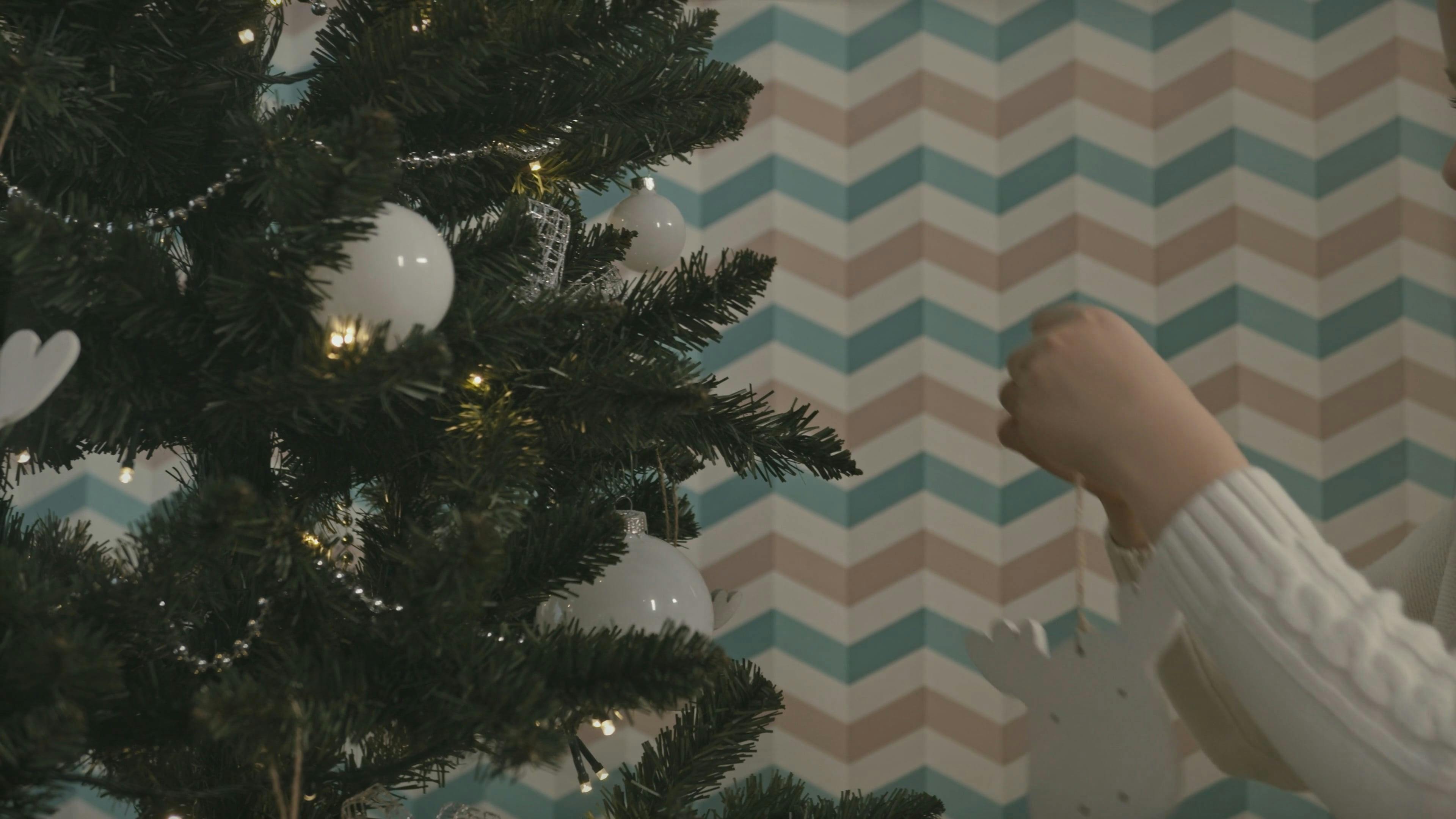 Live Wallpaper Winter Videos, Download The BEST Free 4k Stock Video ...