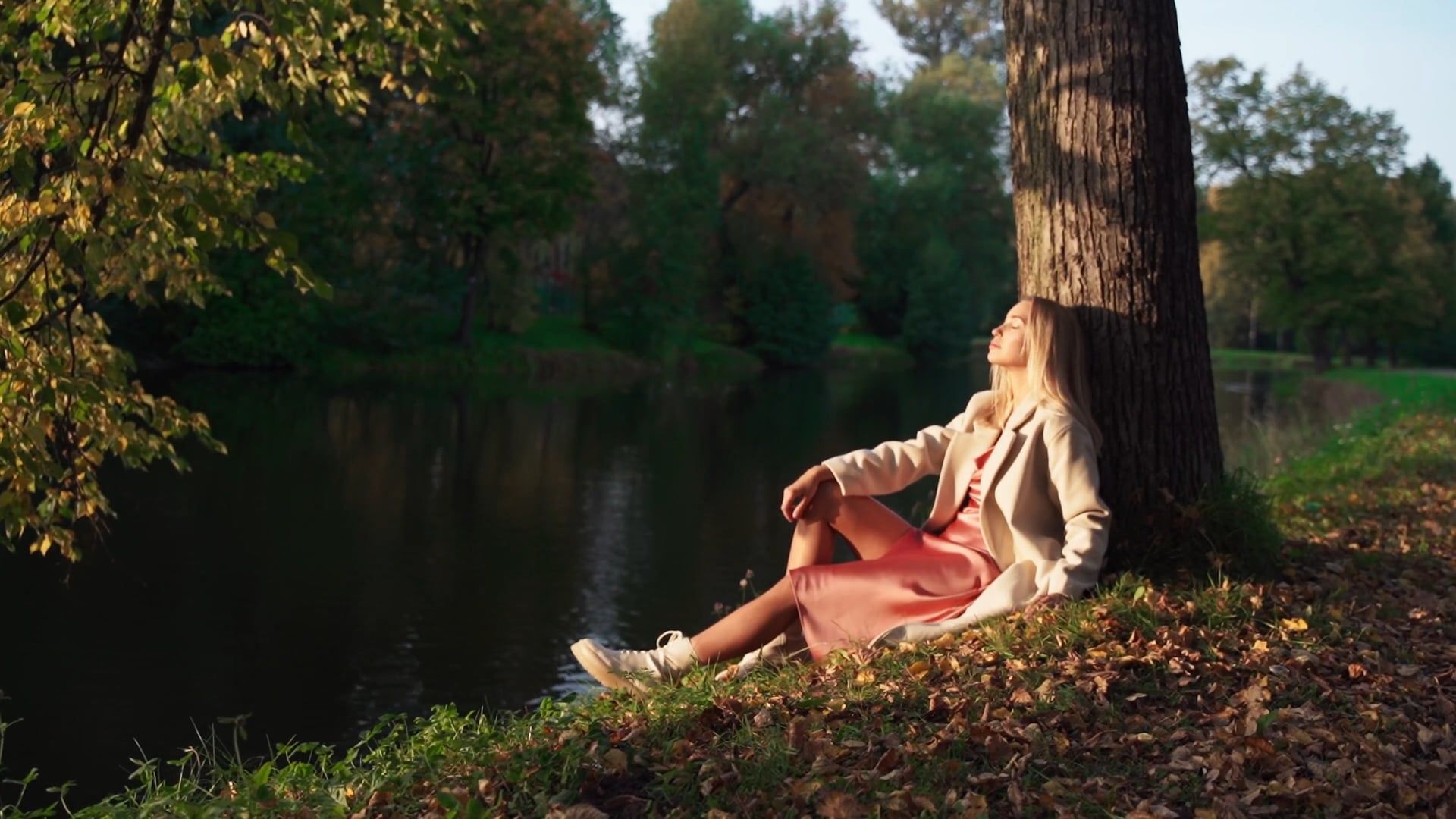 Young Woman Sitting by Lake Leaning Against Tree Trunk Free Stock Video ...