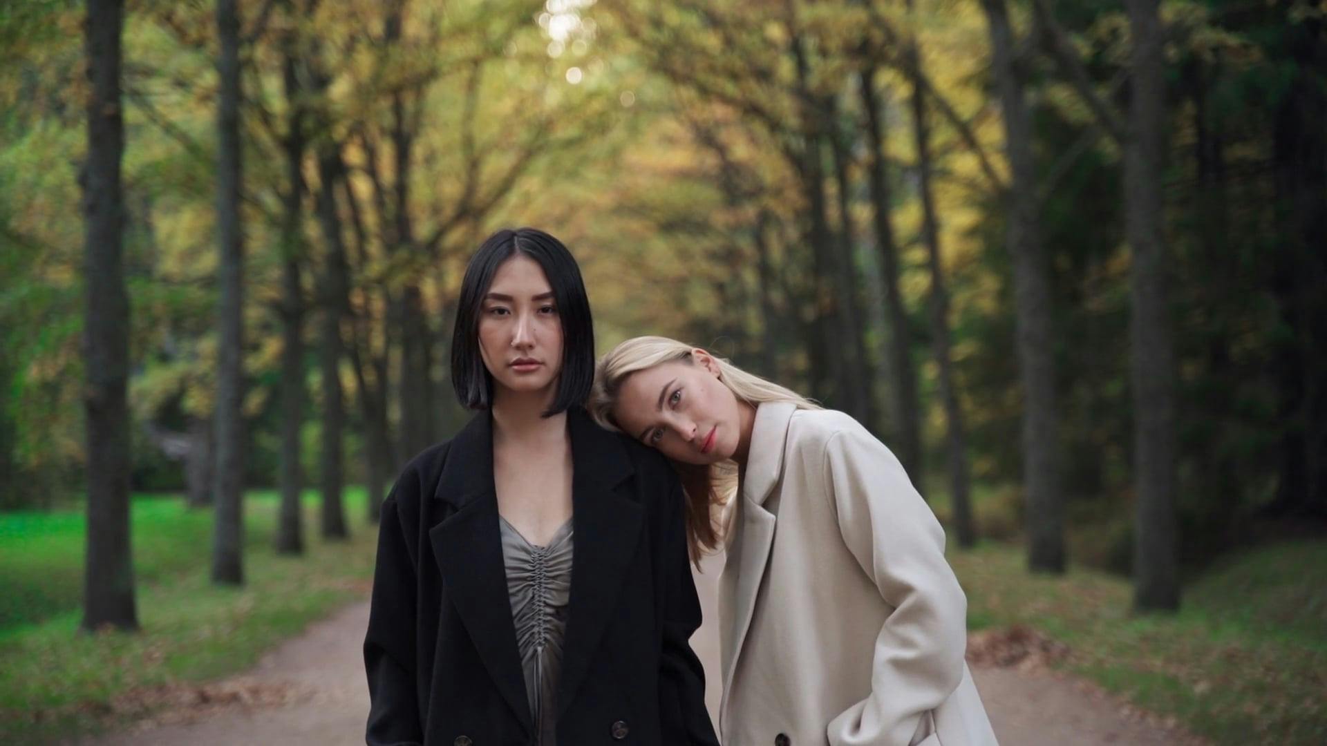 Women Looking at the Camera Free Stock Video Footage, Royalty-Free 4K ...