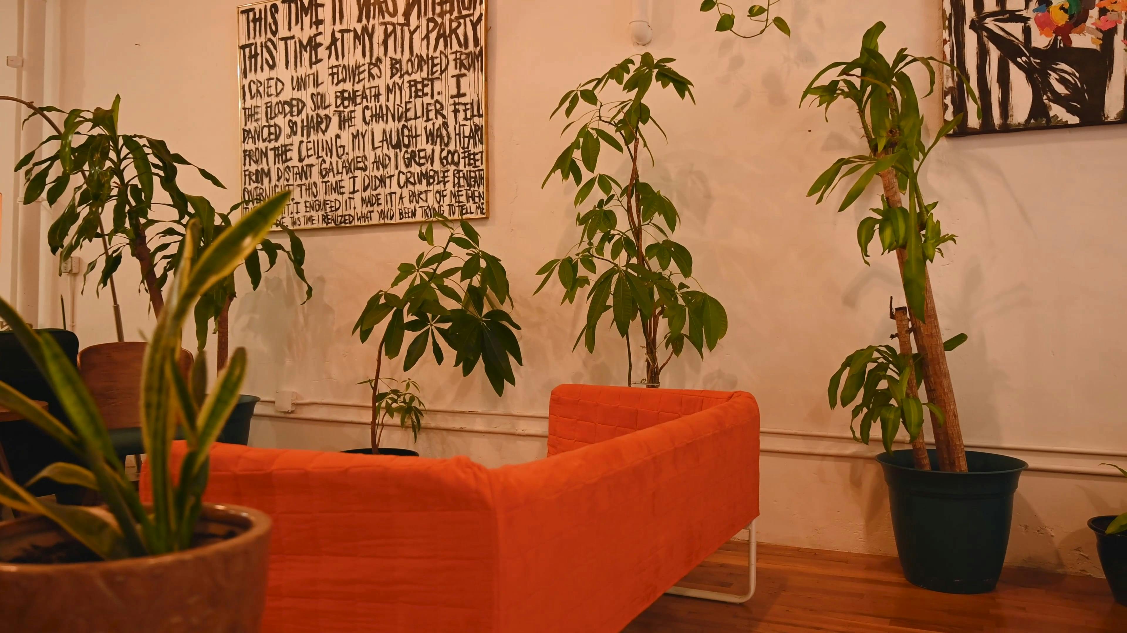 Film Frames Videos, Download The BEST Free 4k Stock Video Footage ...