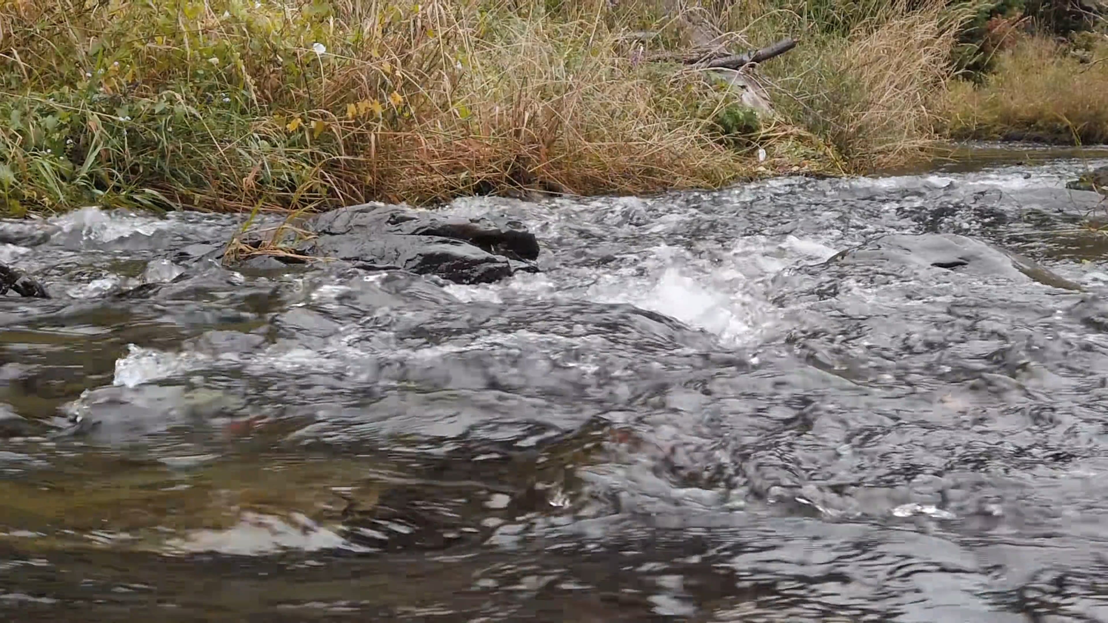Close Up Video of a River Free Stock Video Footage, Royalty-Free 4K ...