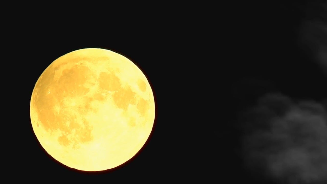 Visual Beauty Videos, Download The BEST Free 4k Stock Video Footage ...