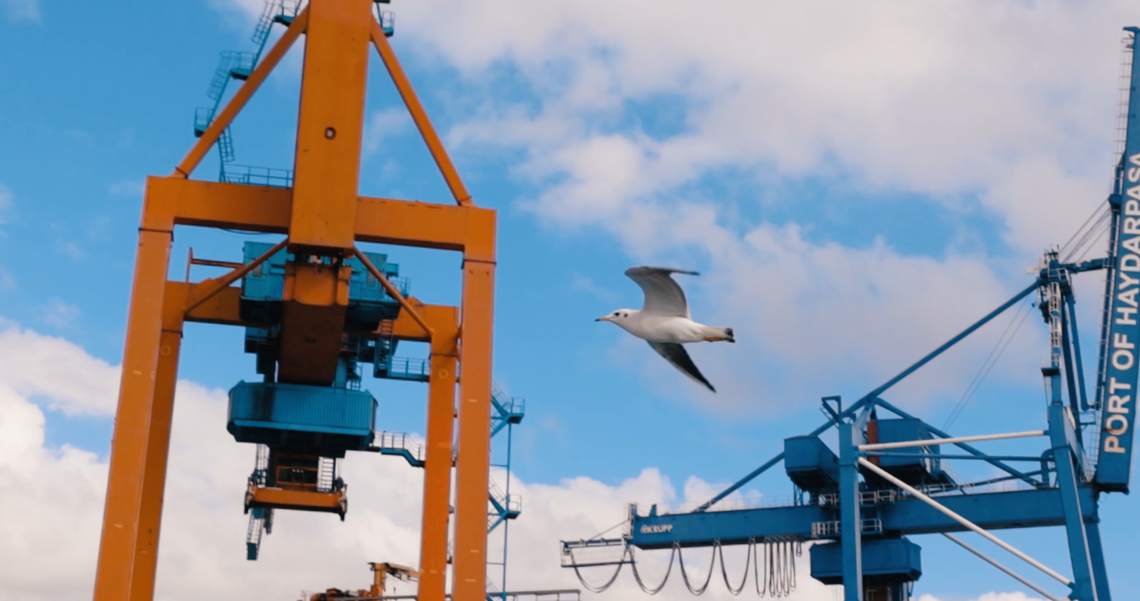 Seabird Flying Close to Steel Structure Free Stock Video Footage ...