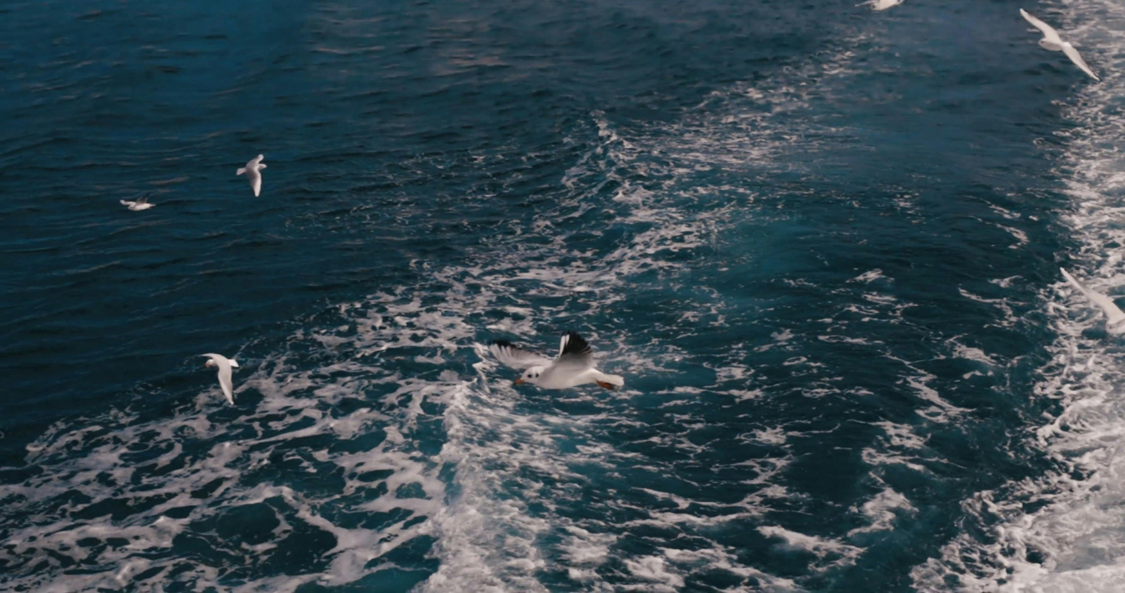 Body Flight Videos, Download The BEST Free 4k Stock Video Footage ...