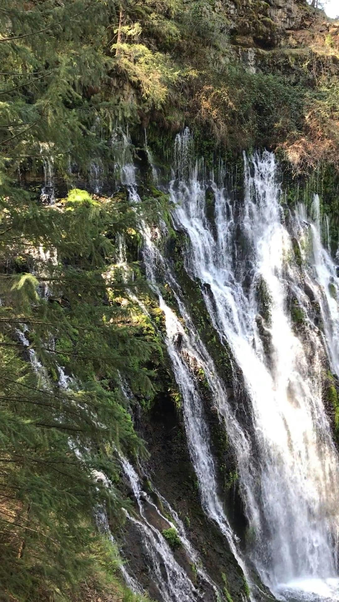 Carol McCormick - 사진