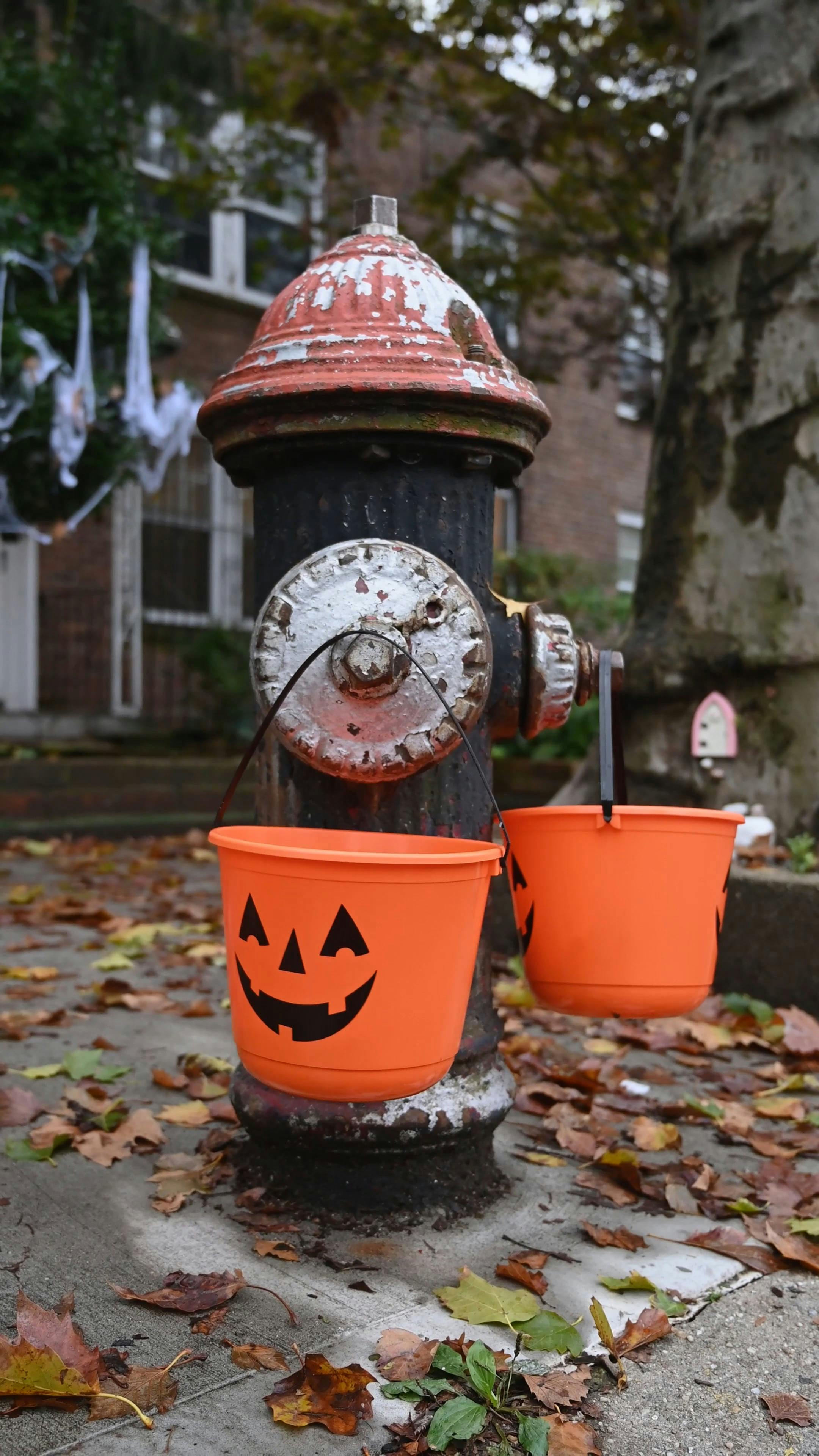 Halloween Decorated Buckets Hanging From a Hydrant Free Stock Video ...