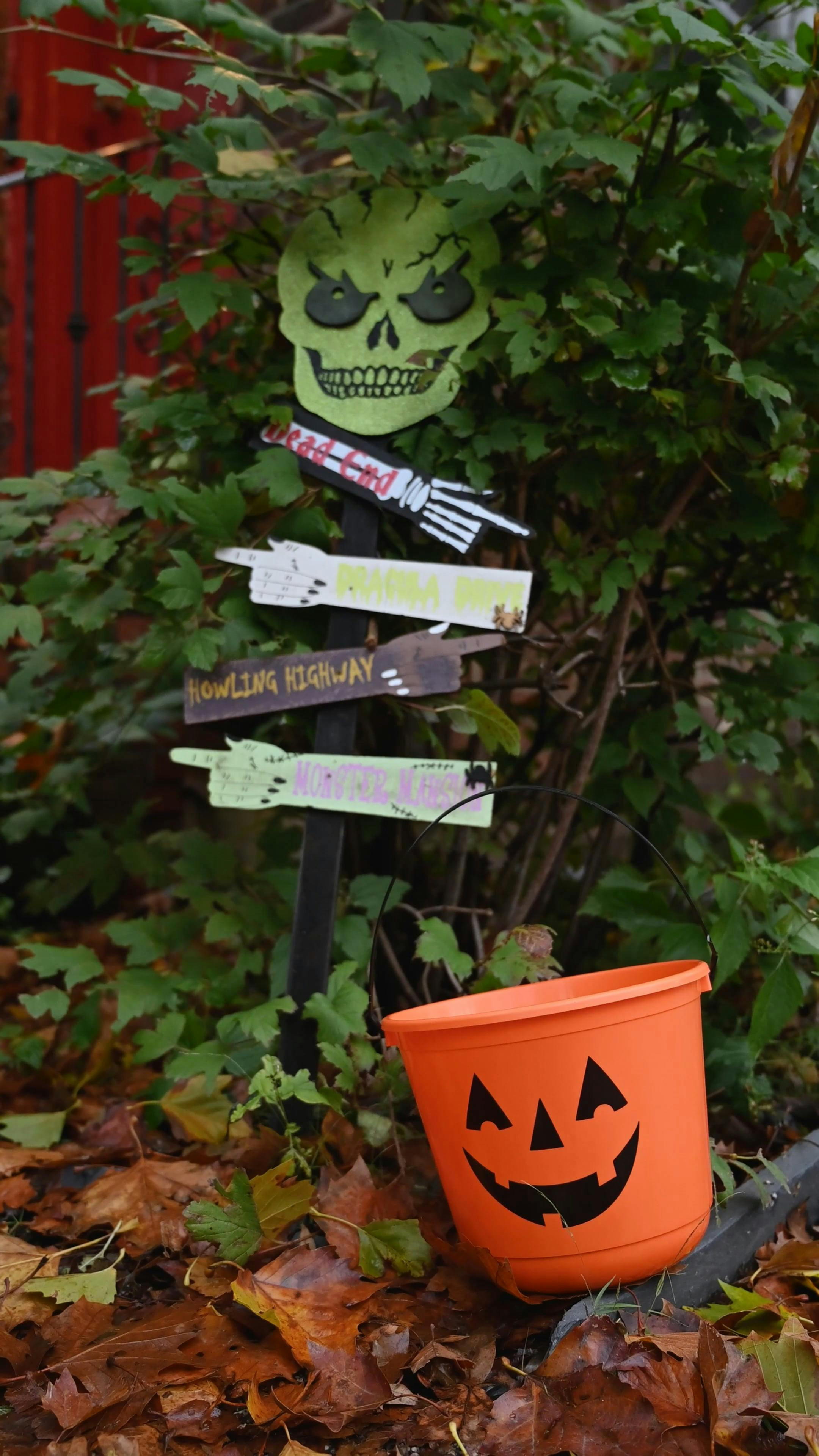 Boo Leaves Videos, Download The BEST Free 4k Stock Video Footage & Boo ...