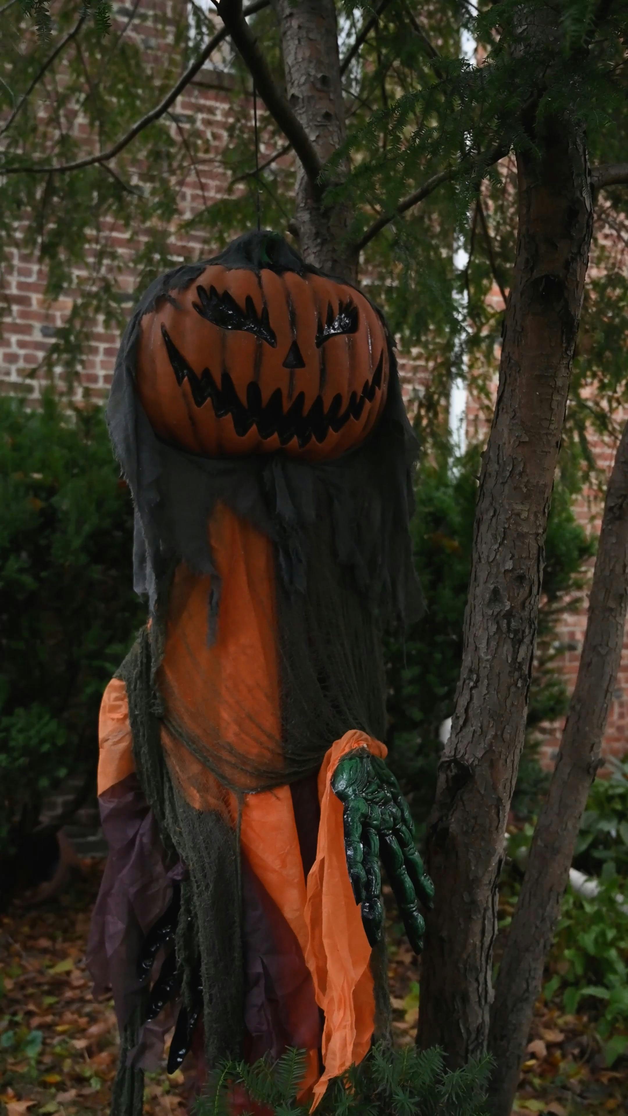 Jack-o'-lantern Hanging on a Tree Free Stock Video Footage, Royalty ...