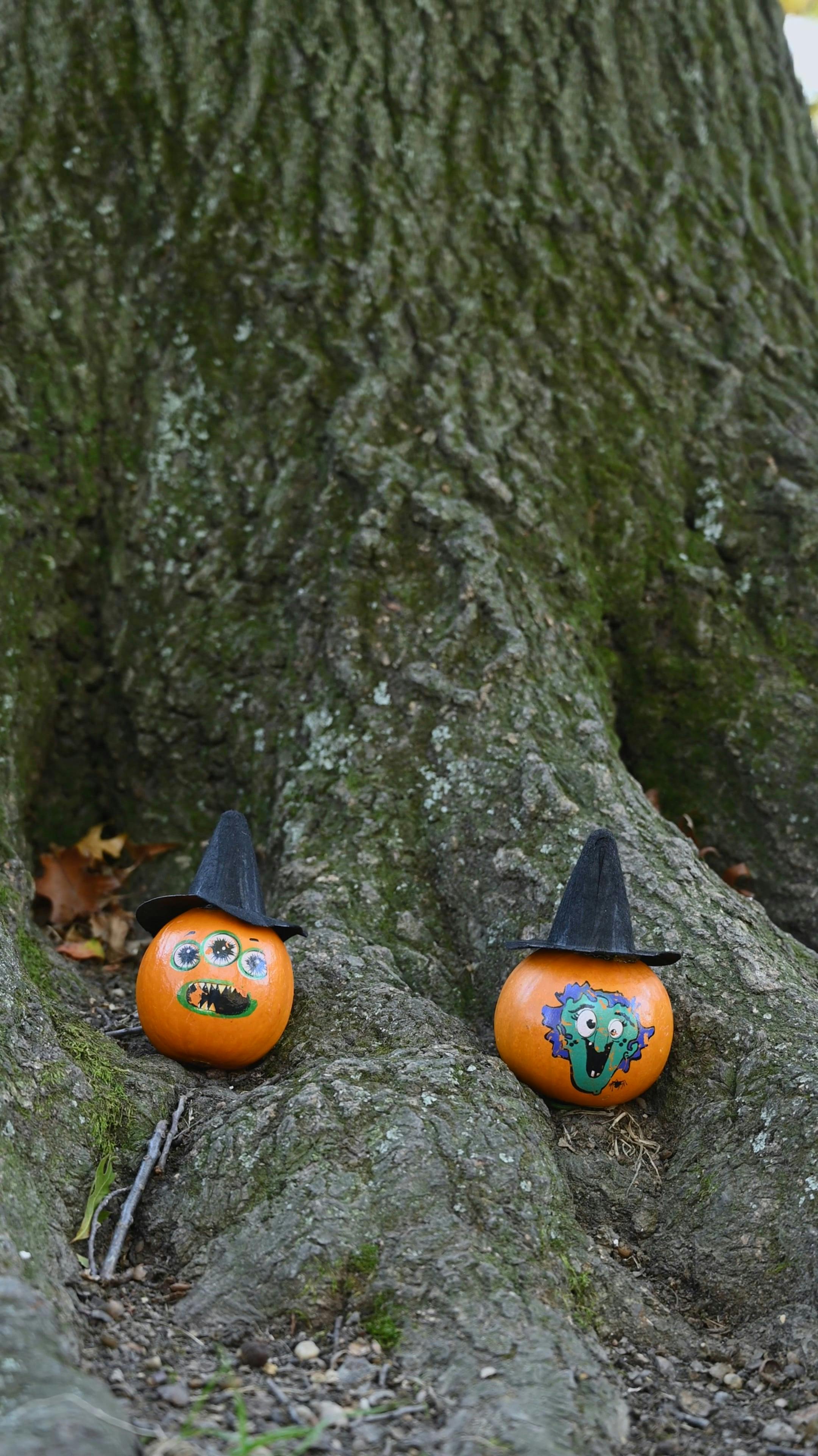 Vertical Video of Halloween Decorations in a Tree Root Free Stock Video ...